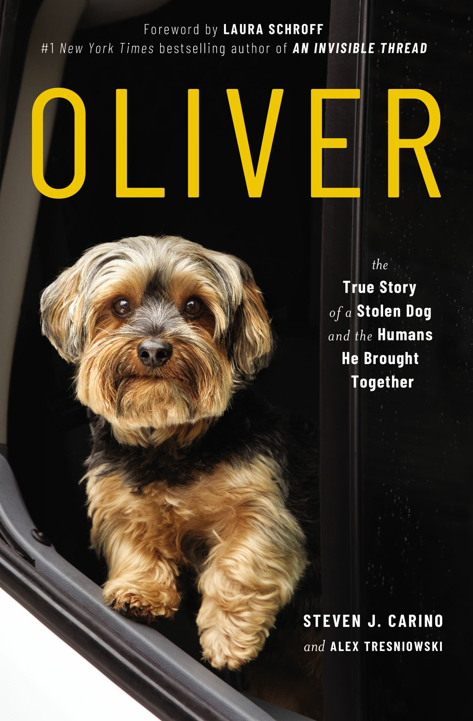 Oliver: The True Story of a Stolen Dog and the Humans He Brought ...