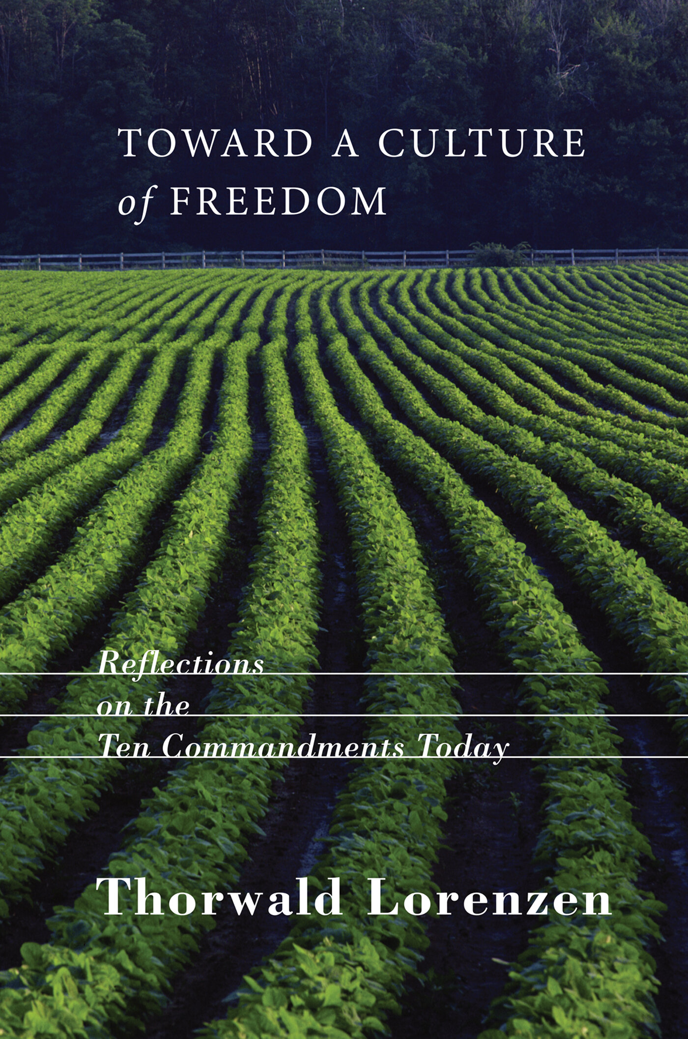 Toward a Culture of Freedom: Reflections on the Ten Commandments Today ...