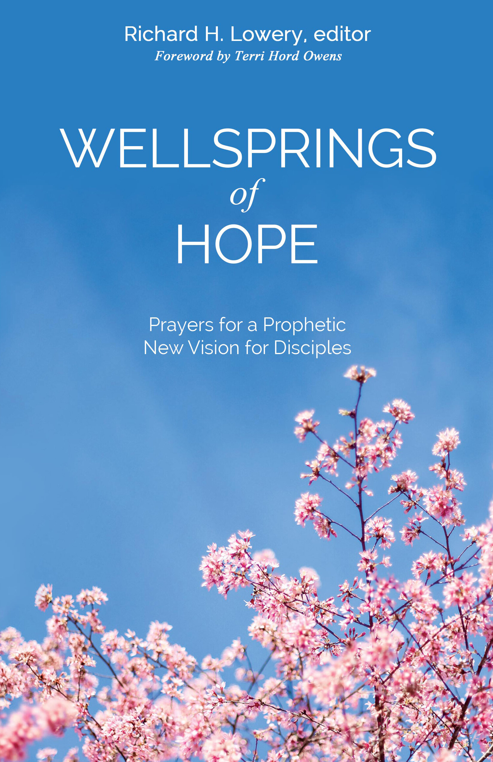 Wellsprings of Hope: Prayers for a Prophetic New Vision for Disciples ...