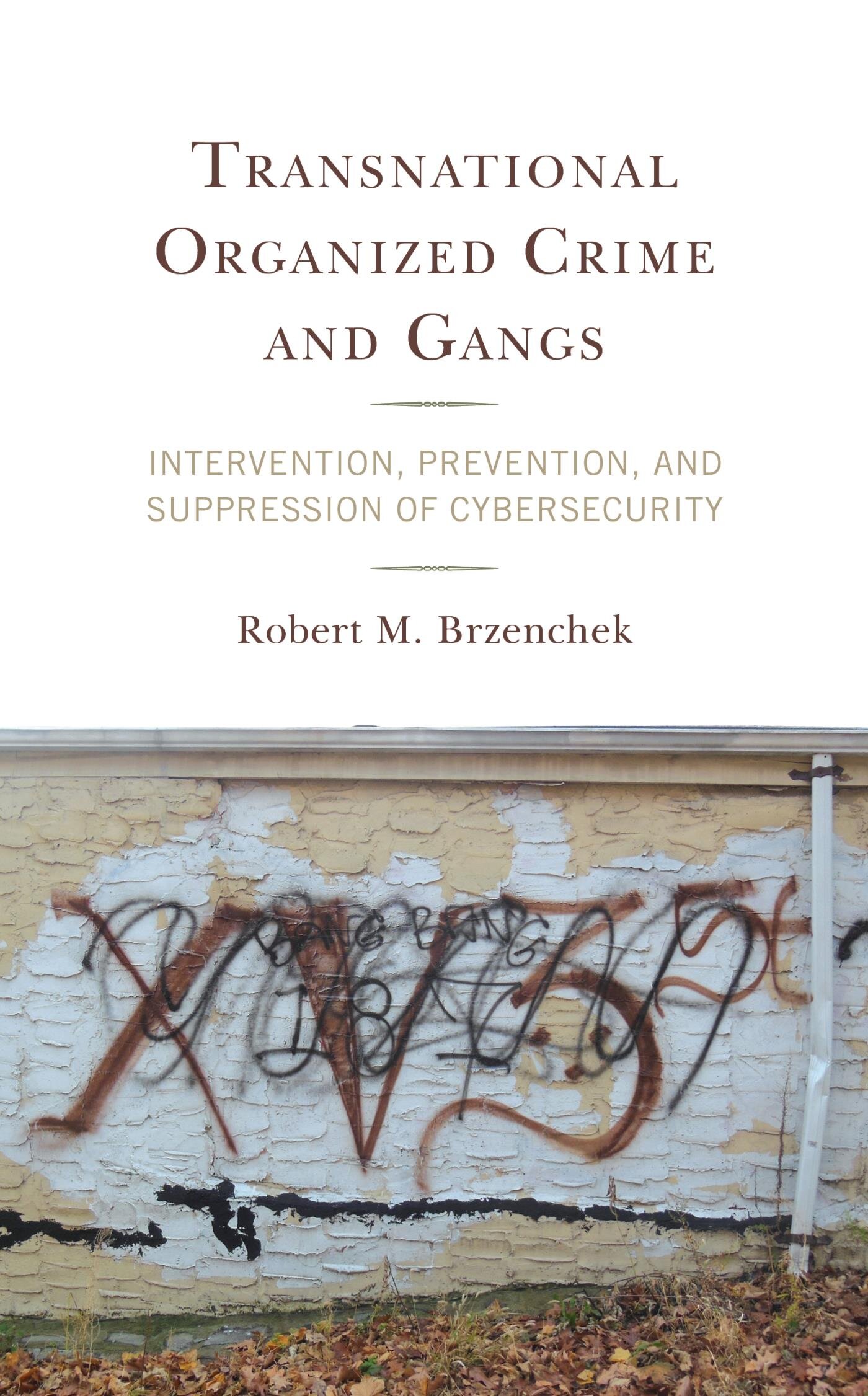Transnational Organized Crime And Gangs Intervention Prevention And Suppression Of