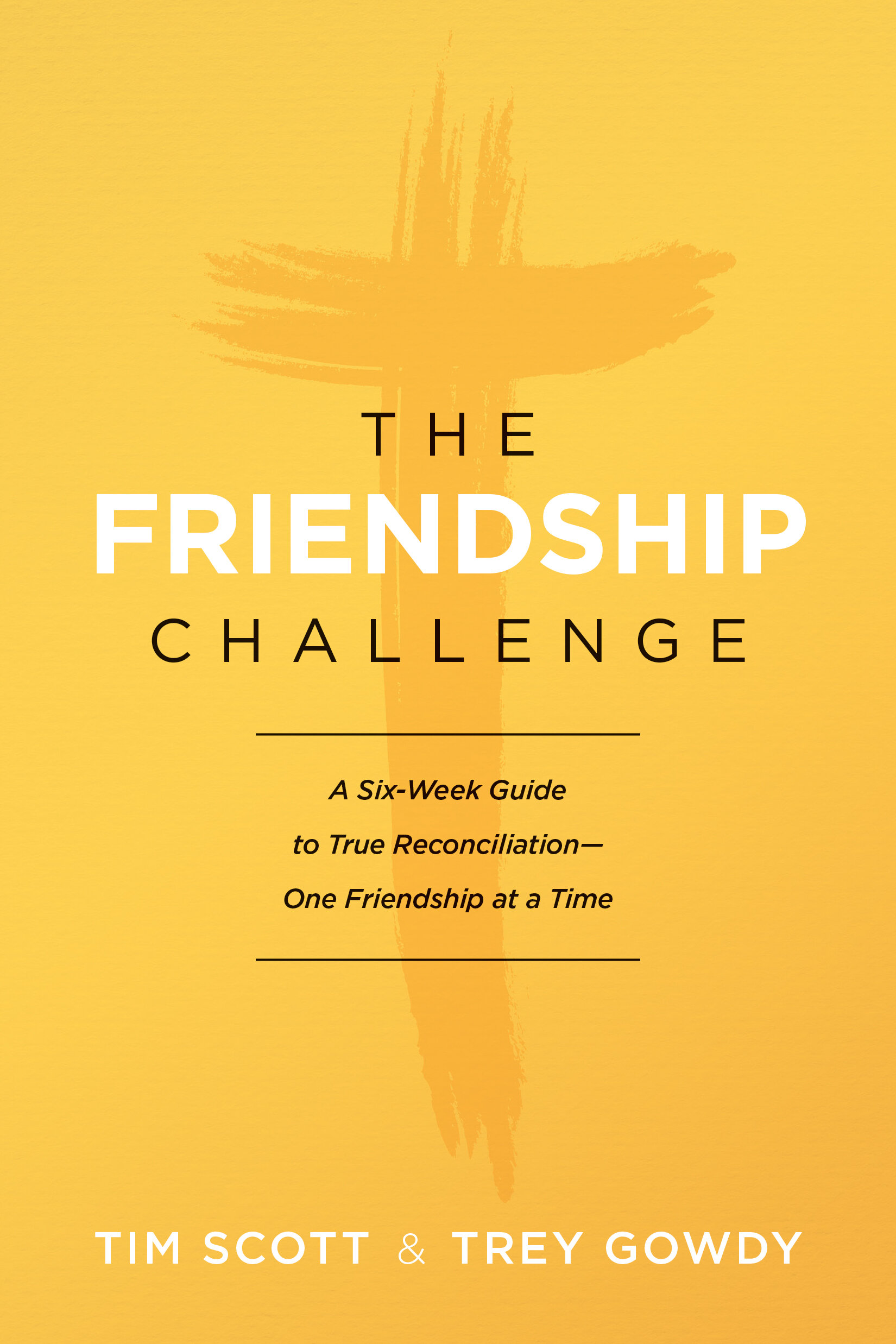 The Friendship Challenge: A Six-Week Guide to True Reconciliation—One ...