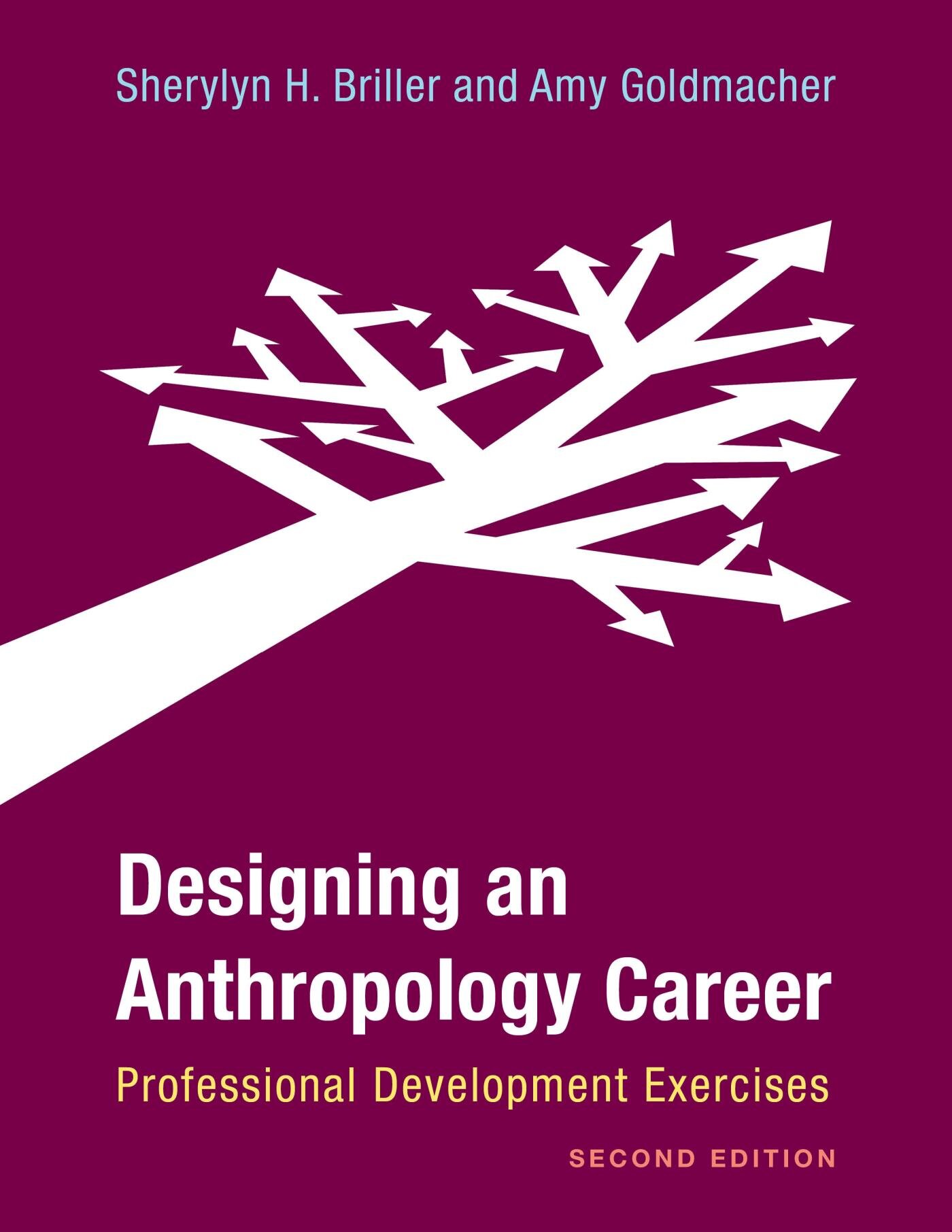 Designing an Anthropology Career: Professional Development Exercises ...