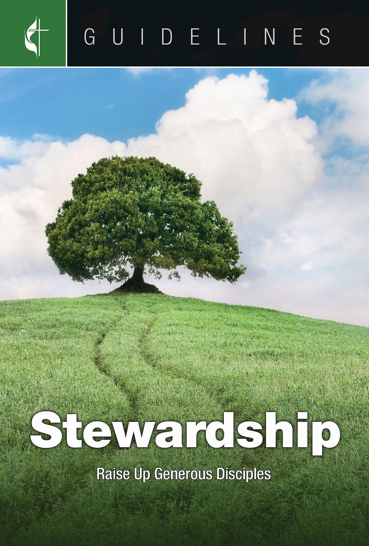 Guidelines Stewardship: Raise Up Generous Disciples | Logos Bible Software