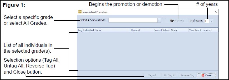 Promoting School Grades | Article