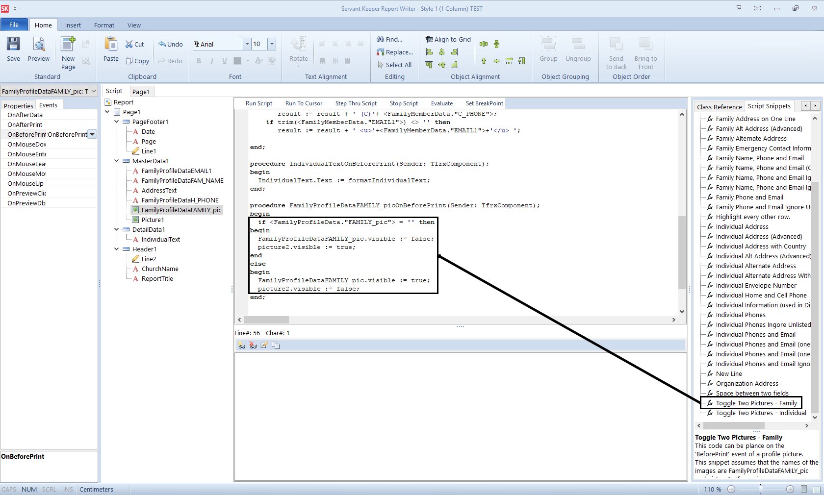 SK8 - Editing Reports Using the Report Editor