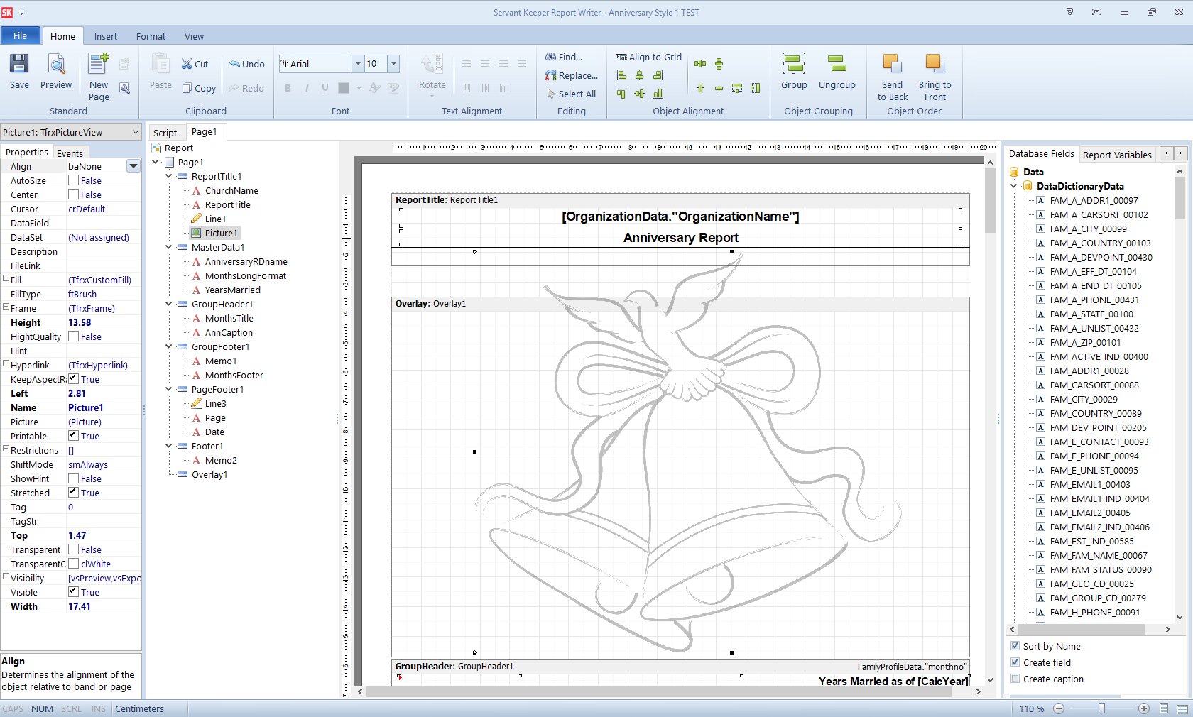 SK8 - Editing Reports Using the Report Editor