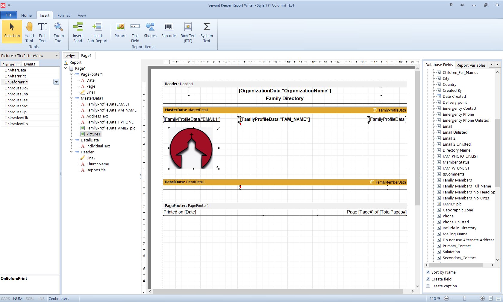SK8 - Editing Reports Using the Report Editor