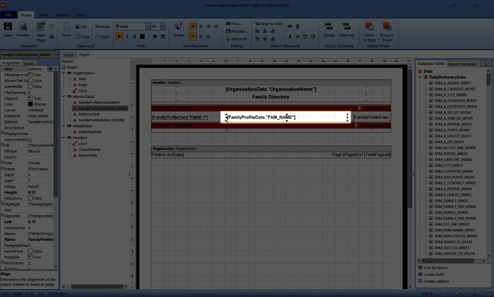 SK8 - Editing Reports Using the Report Editor