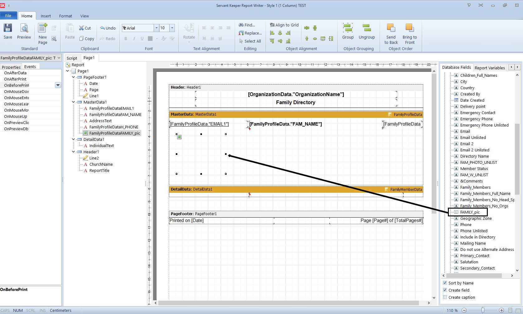 SK8 - Editing Reports Using the Report Editor