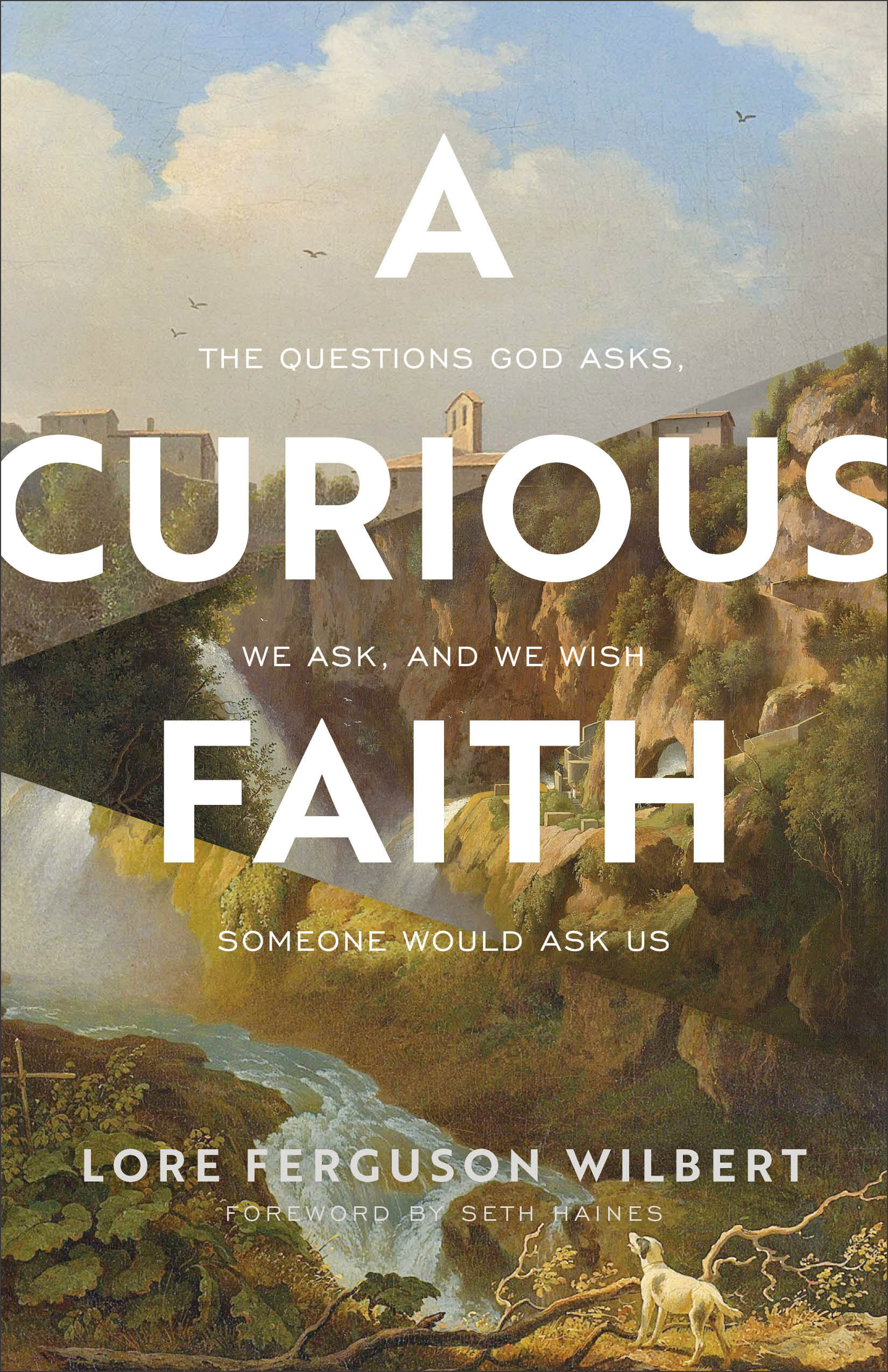 A Curious Faith: The Questions God Asks, We Ask, and We Wish Someone ...