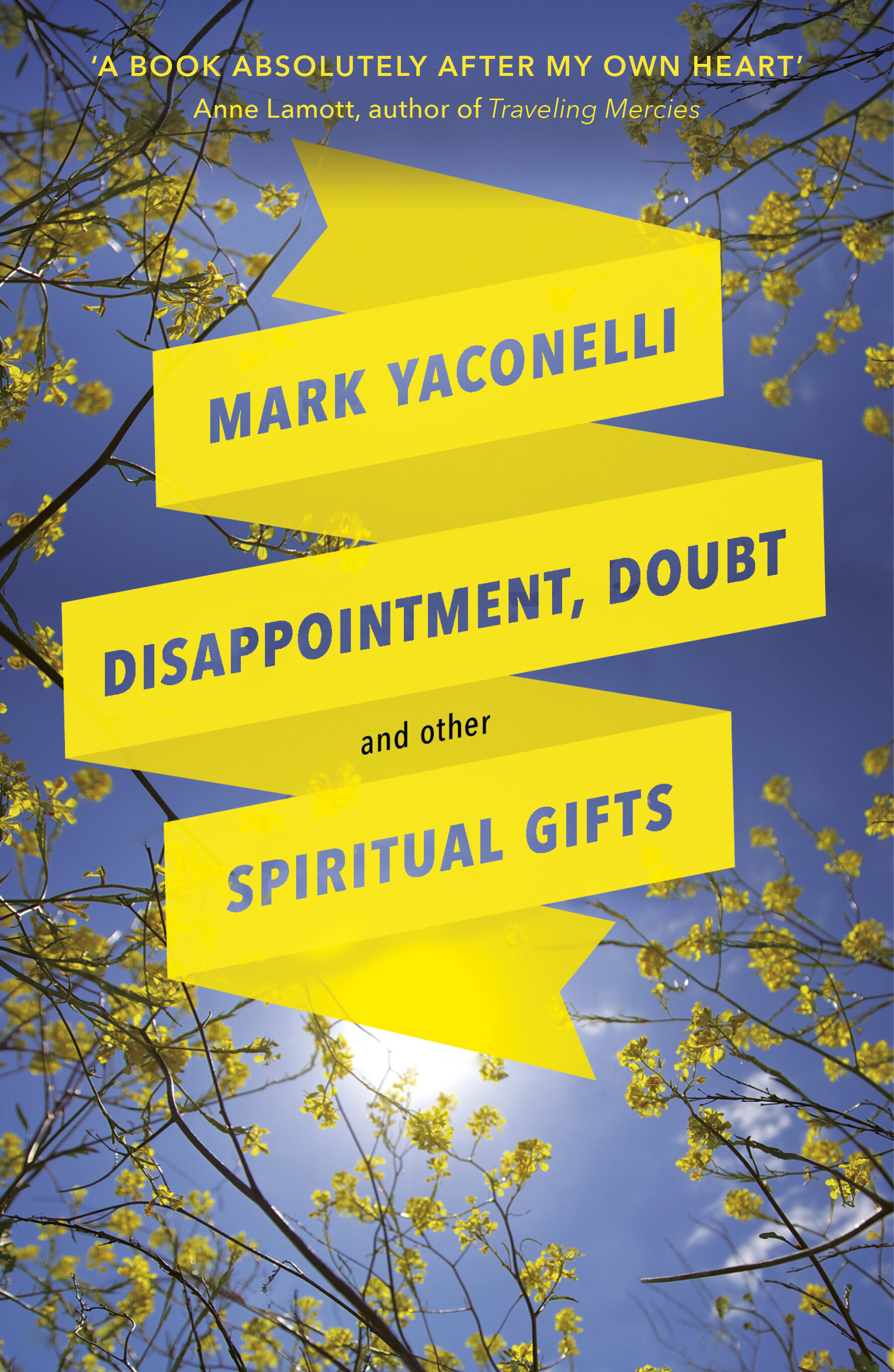 Disappointment, Doubt and Other Spiritual Gifts: Reflections on life ...