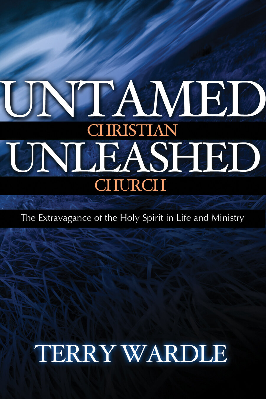 Untamed Christian, Unleashed Church: The Extravagance of the Holy ...