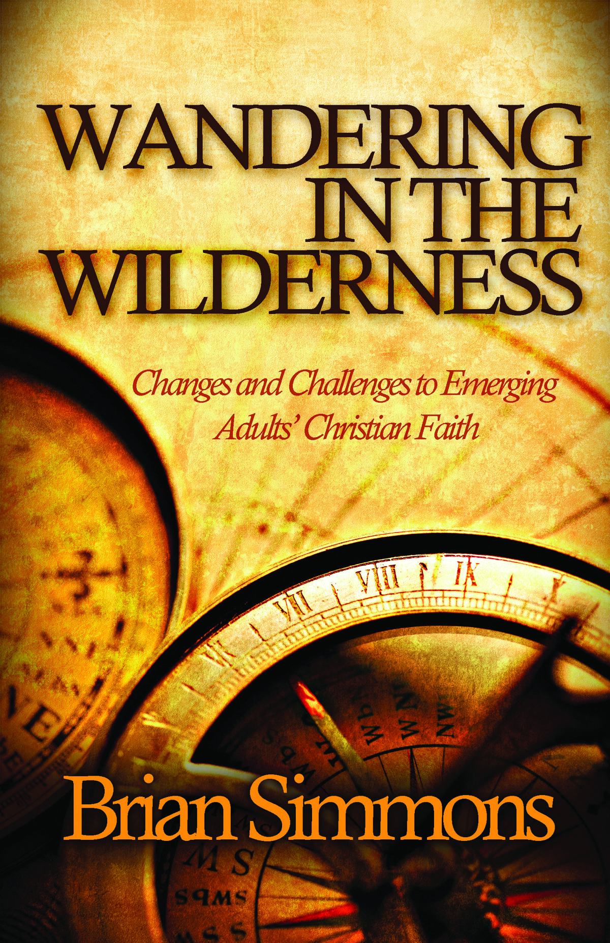 Wandering in the Wilderness: Changes and Challenges to Emerging Adults ...