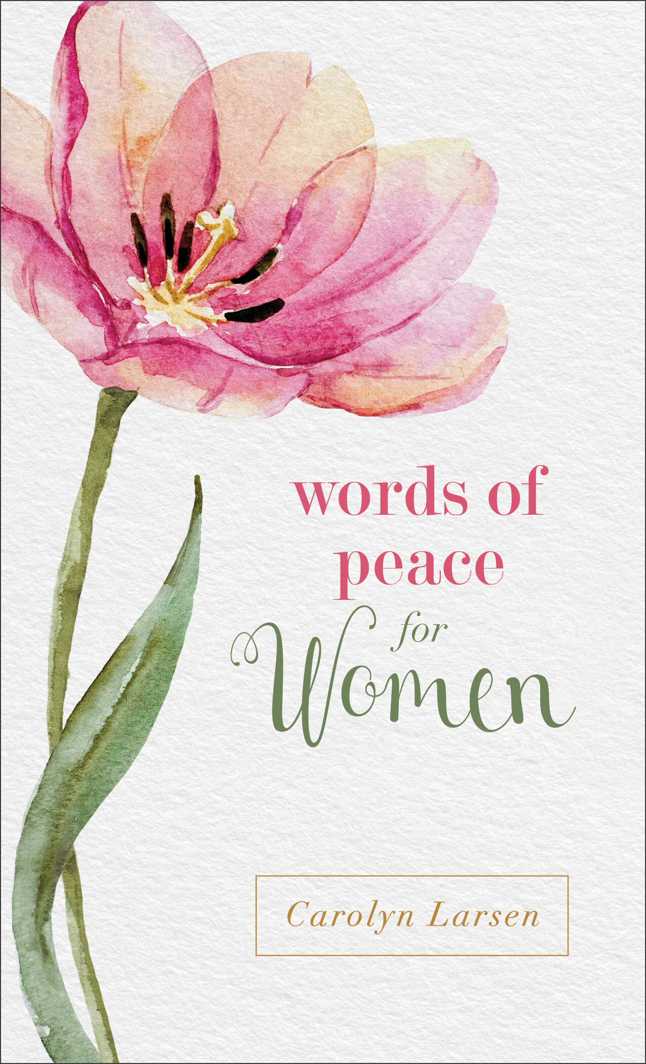 Words of Peace for Women | Logos Bible Software