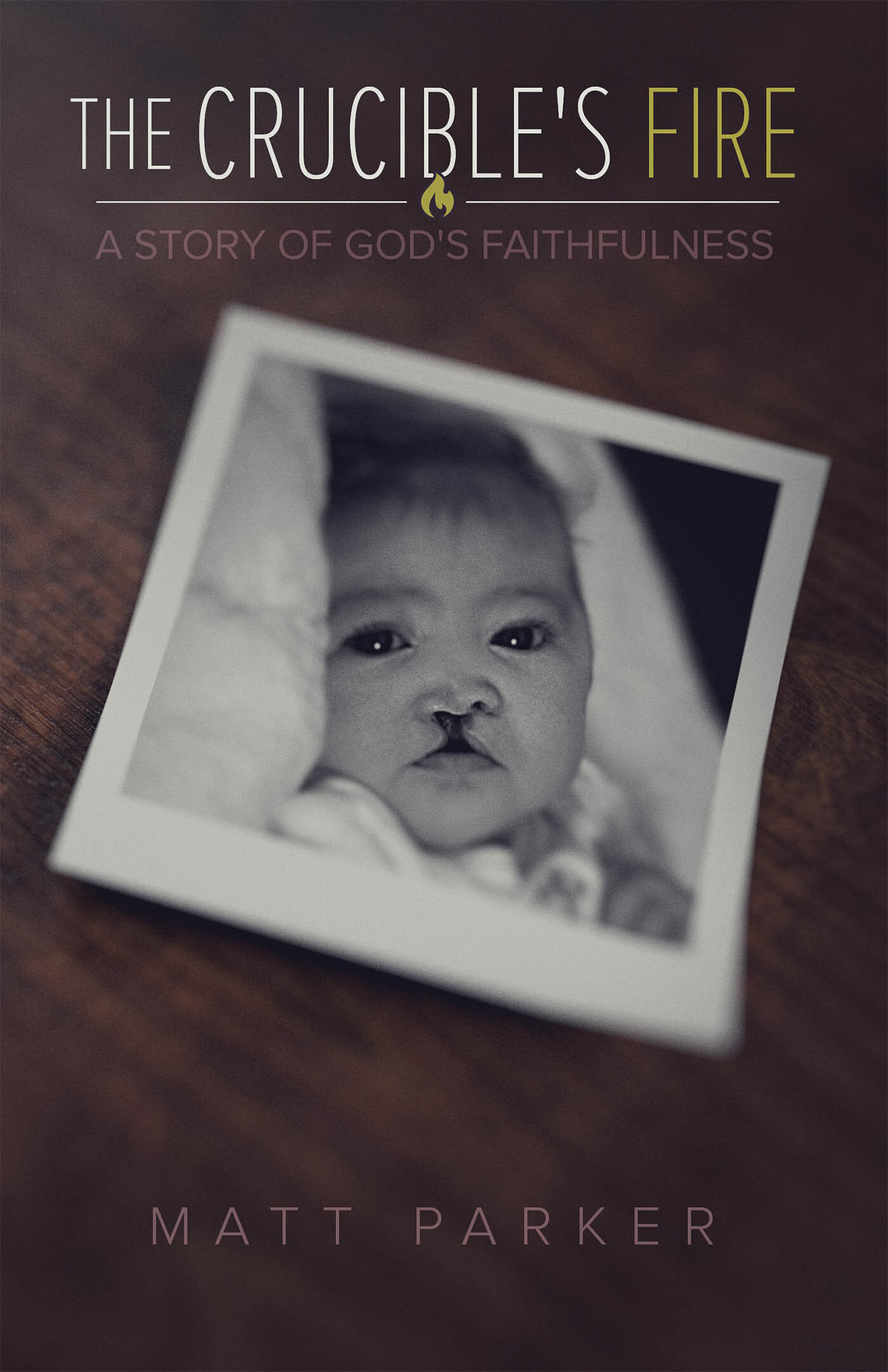 The Crucible's Fire: A Story of God's Faithfulness | Logos Bible Software