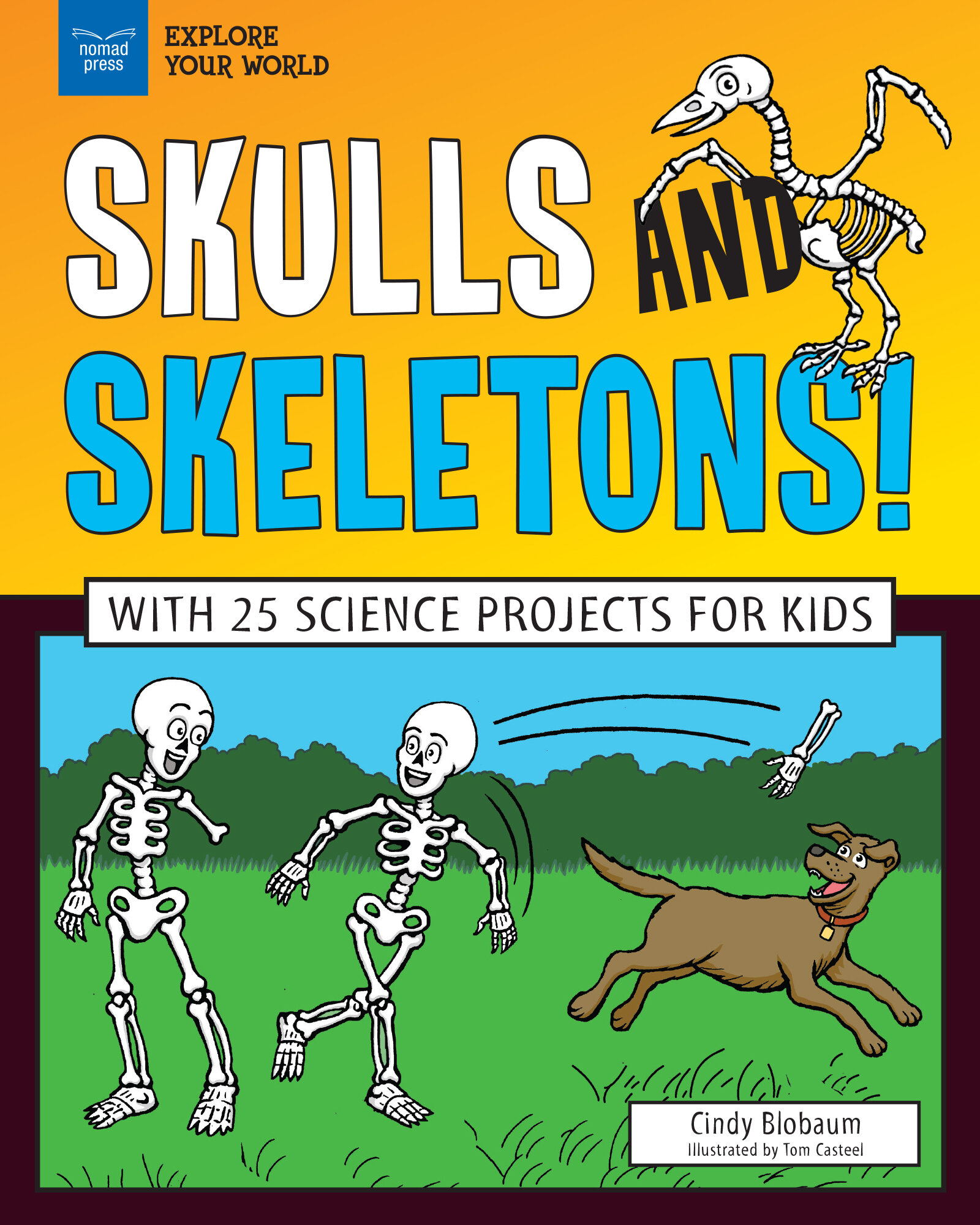 Skulls and Skeletons! With 25 Science Projects for Kids | Logos Bible ...