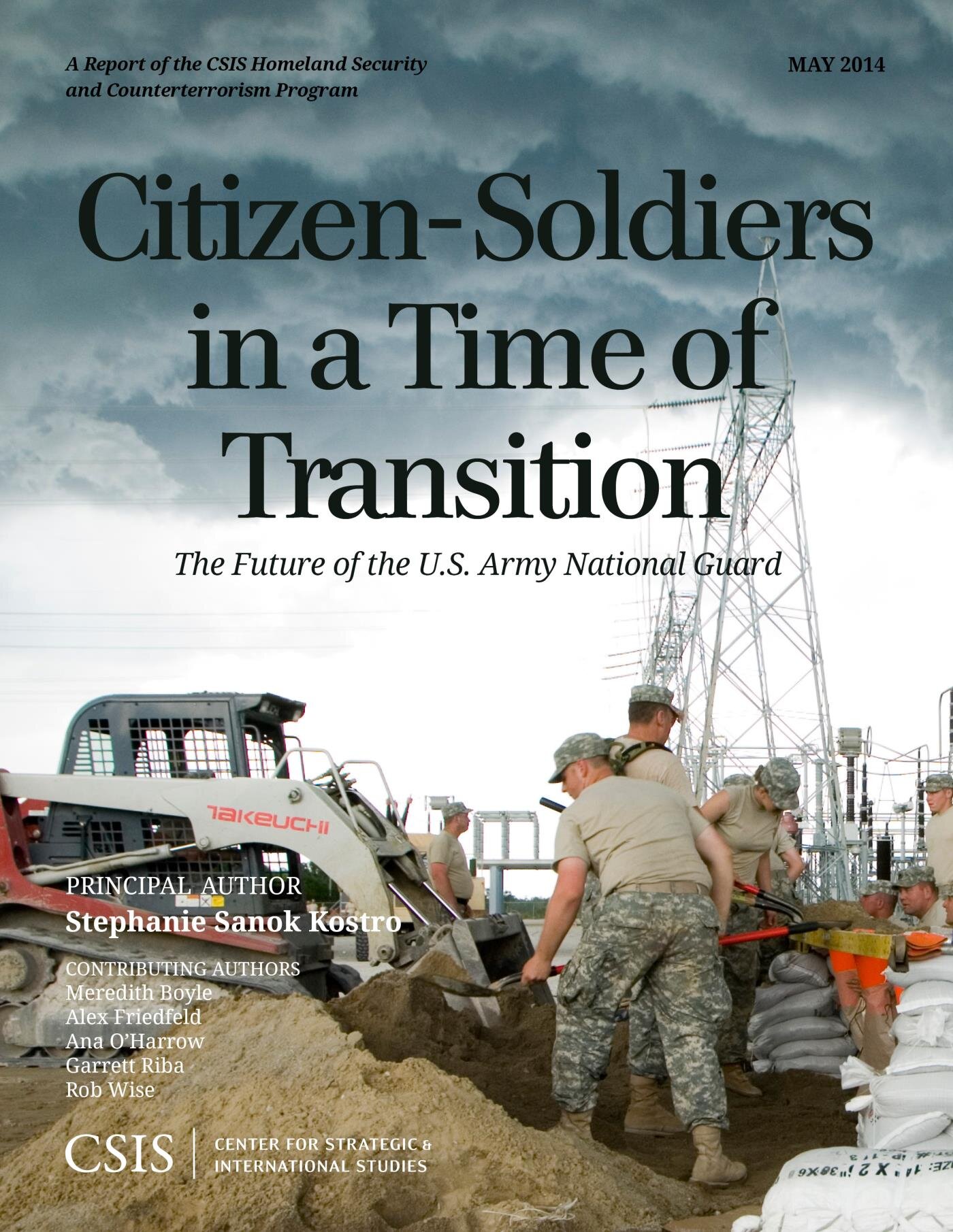 Citizen-Soldiers in a Time of Transition: The Future of the U.S. Army ...