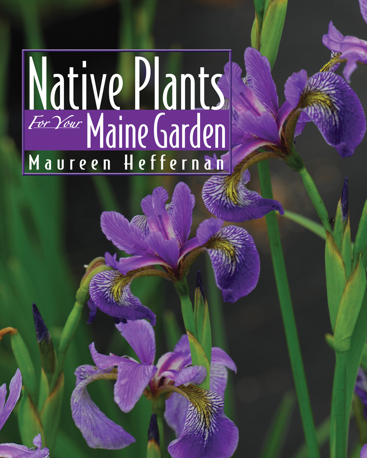 Native Plants for Your Maine Garden | Logos Bible Software