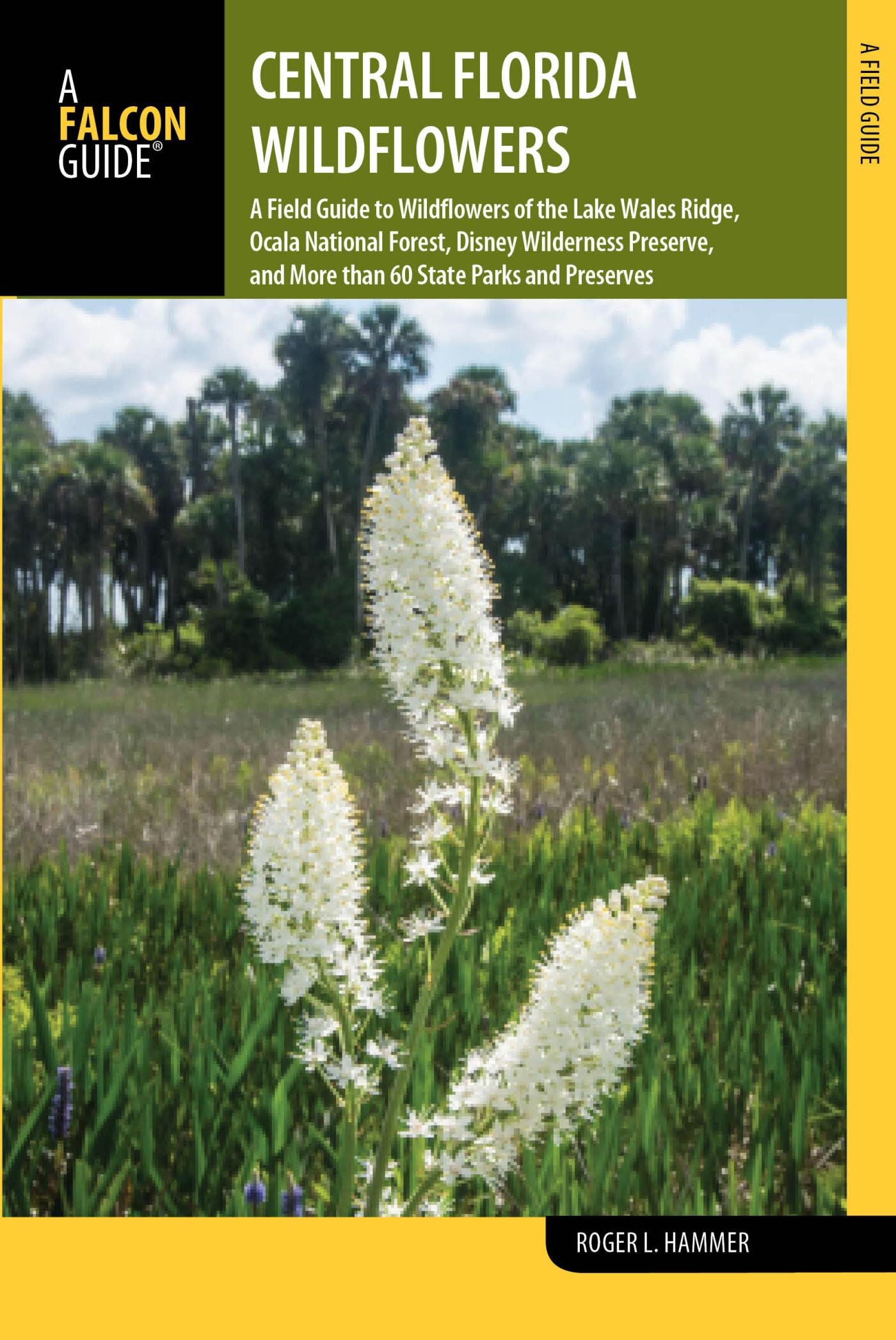 Central Florida Wildflowers: A Field Guide to Wildflowers of the Lake ...