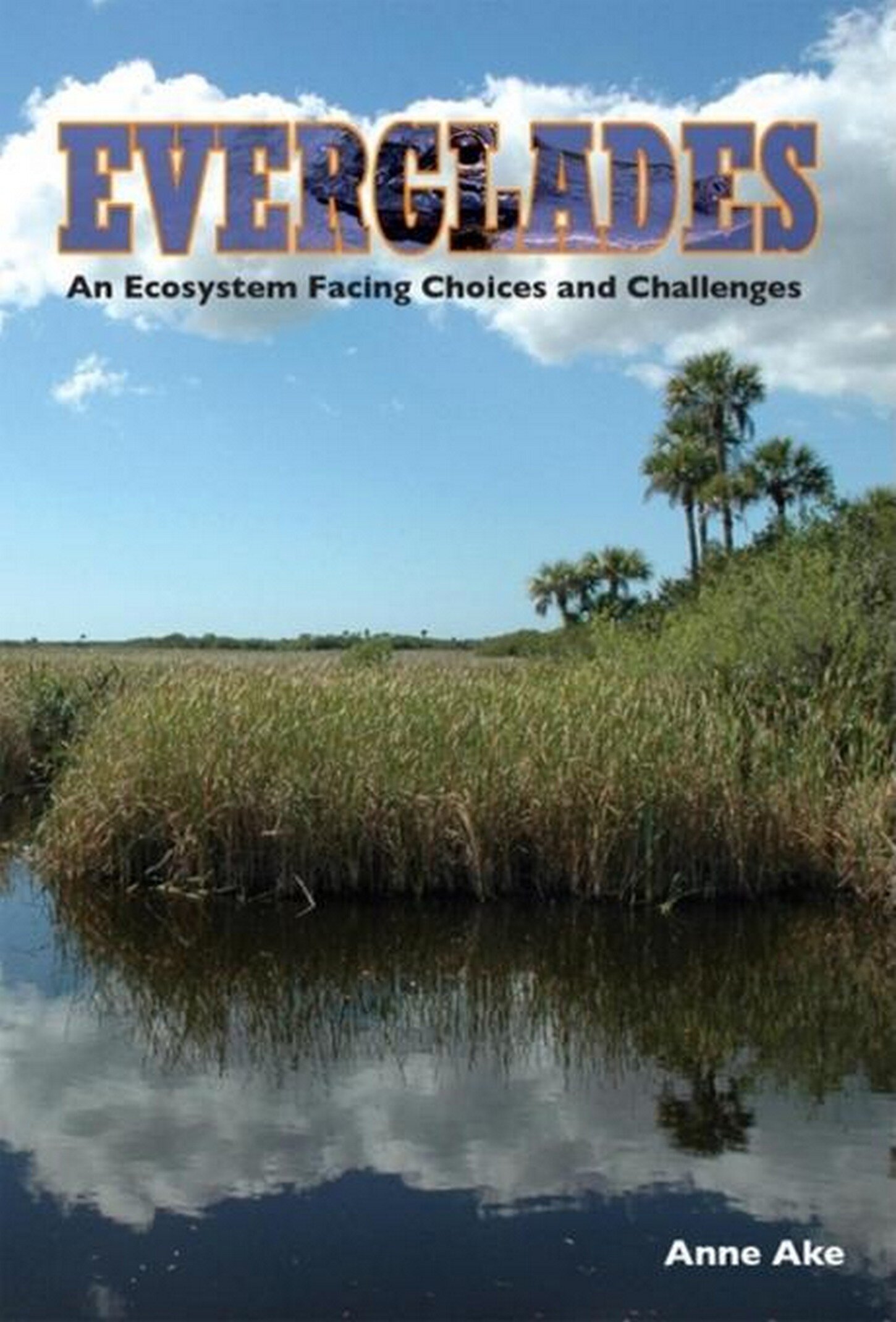 Everglades: An Ecosystem Facing Choices and Challenges | Logos Bible ...