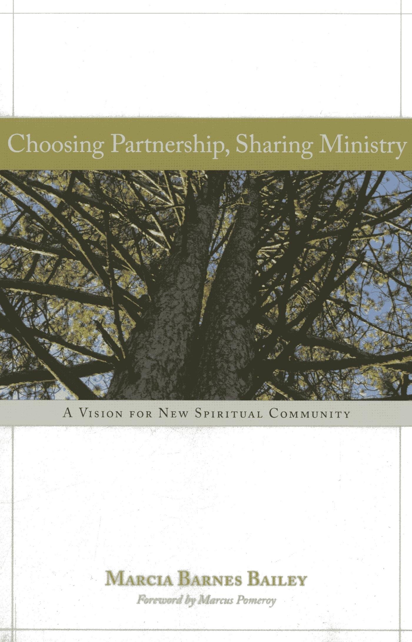 Choosing Partnership, Sharing Ministry: A Vision for New Spiritual ...