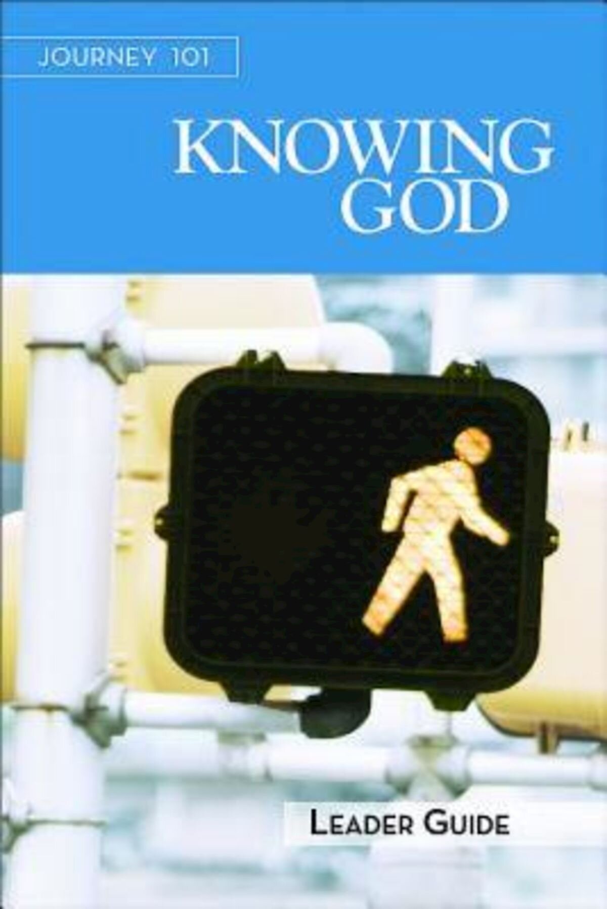 Journey 101: Knowing God Leader Guide: Steps to the Life God Intends ...