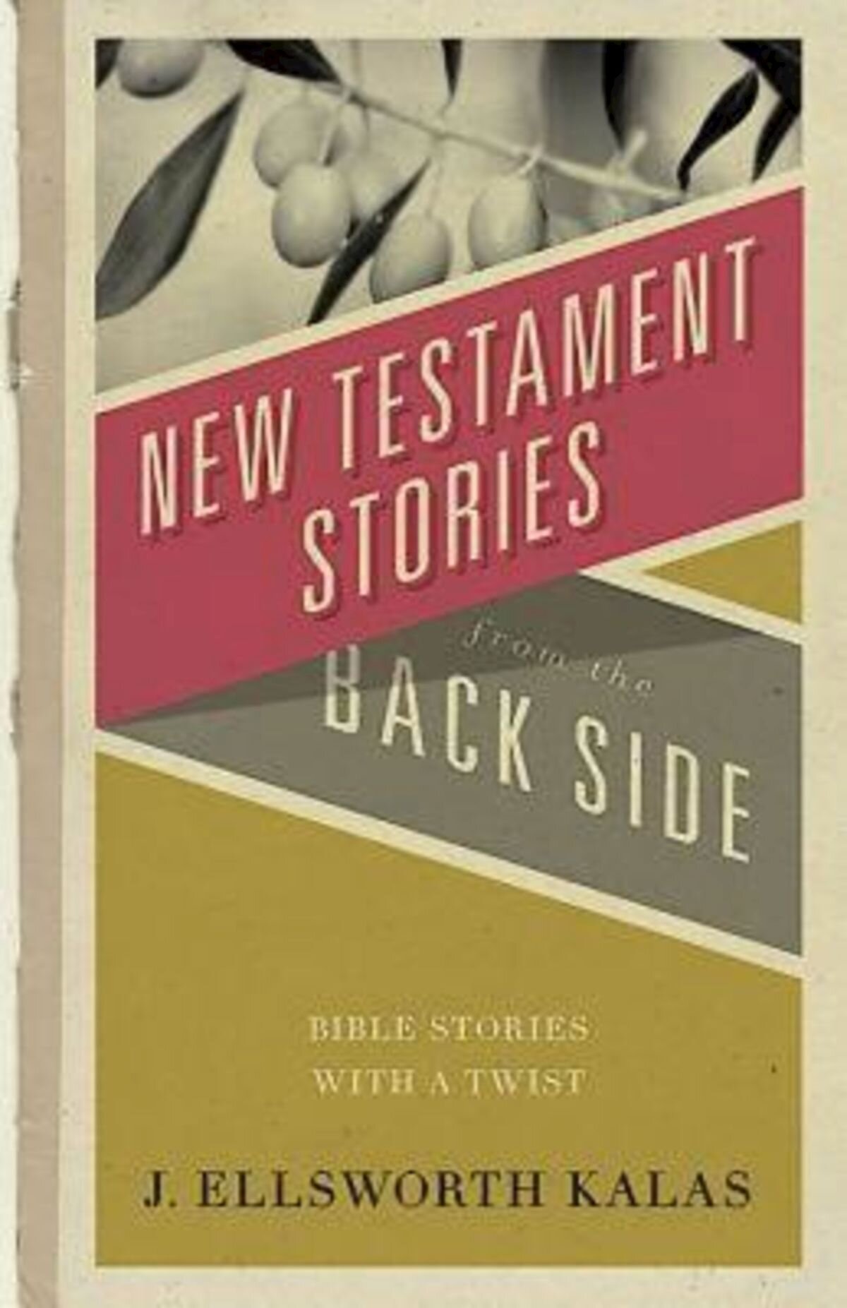 New Testament Stories from the Back Side: Bible Stories with a Twist ...
