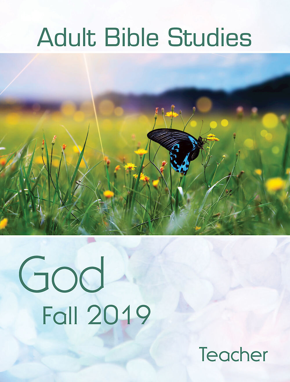 Adult Bible Studies Teacher Fall 2019 | Logos Bible Software