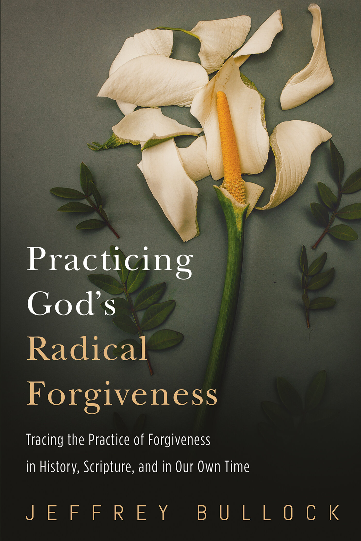 Practicing God’s Radical Forgiveness: Tracing the Practice of ...