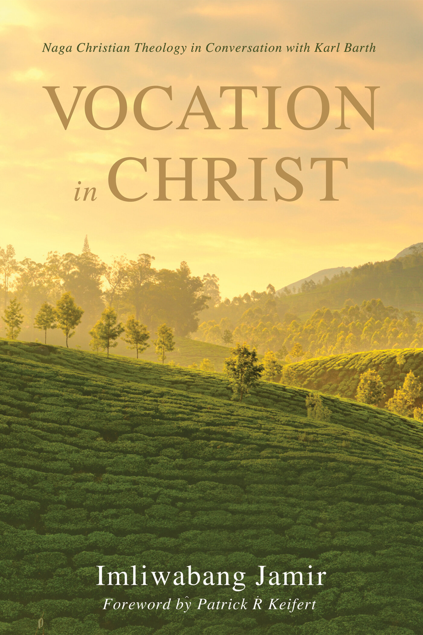 Vocation in Christ: Naga Christian Theology in Conversation with Karl ...