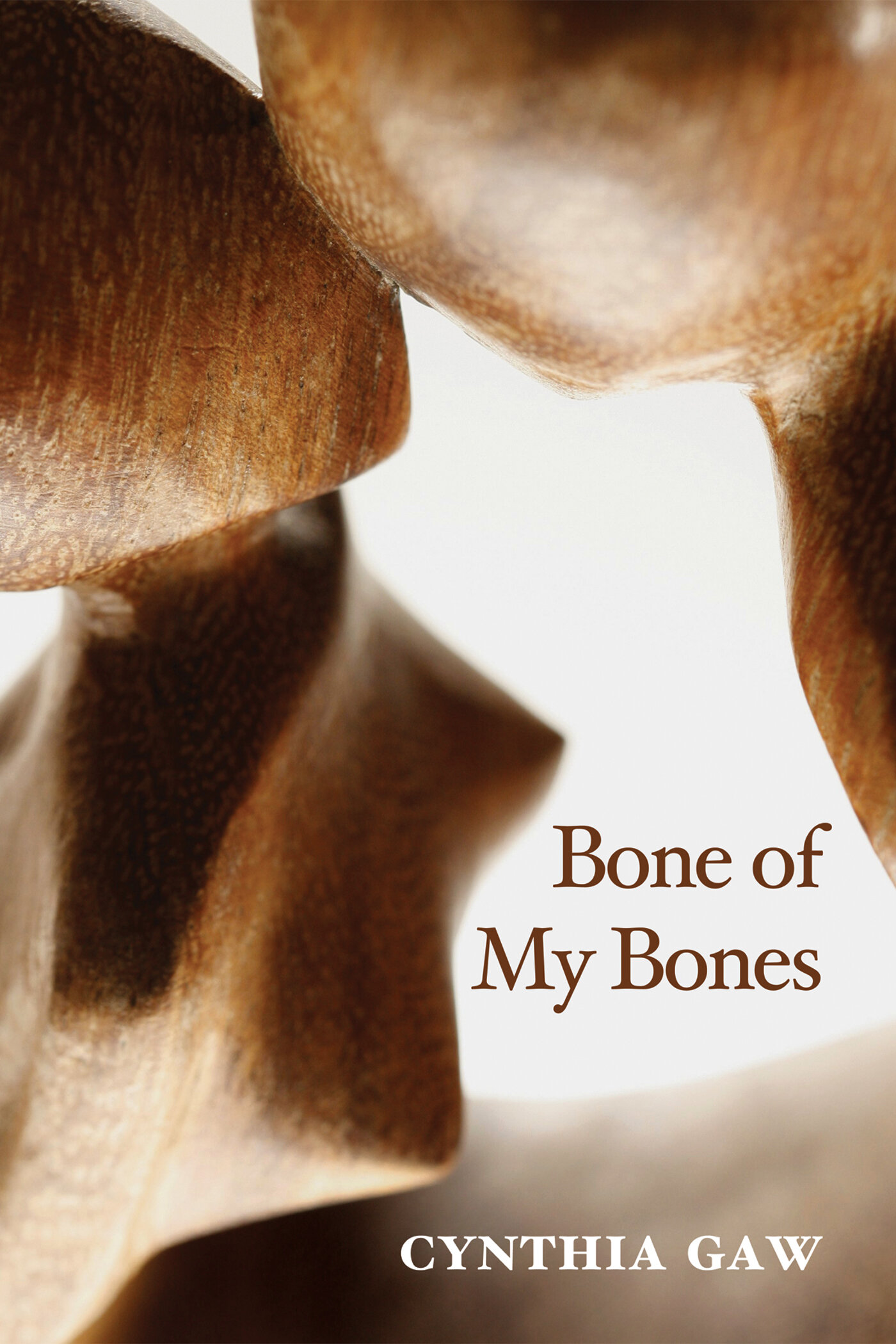 Bone of My Bones | Logos Bible Software