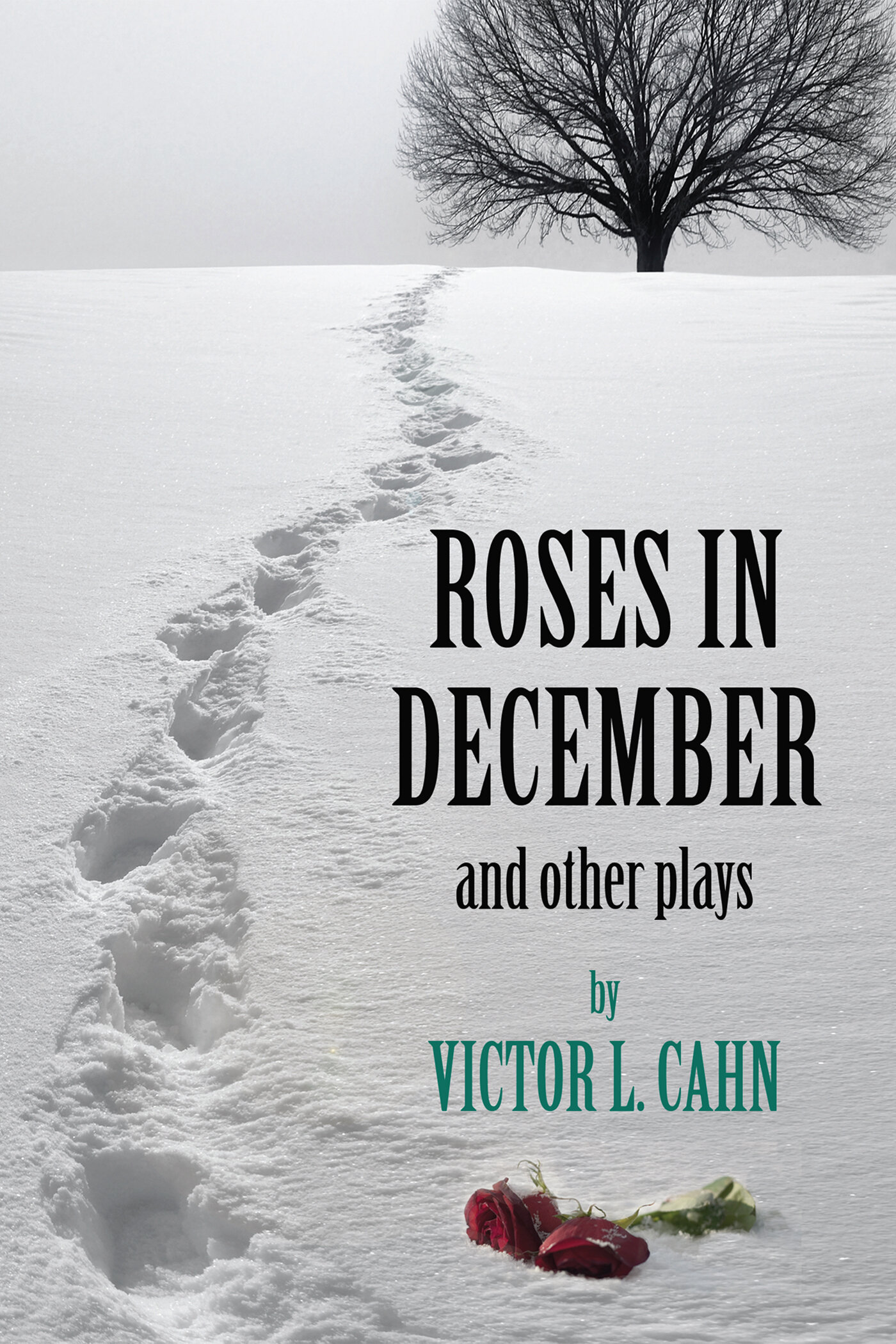 Roses in December: And Other Plays | Logos Bible Software