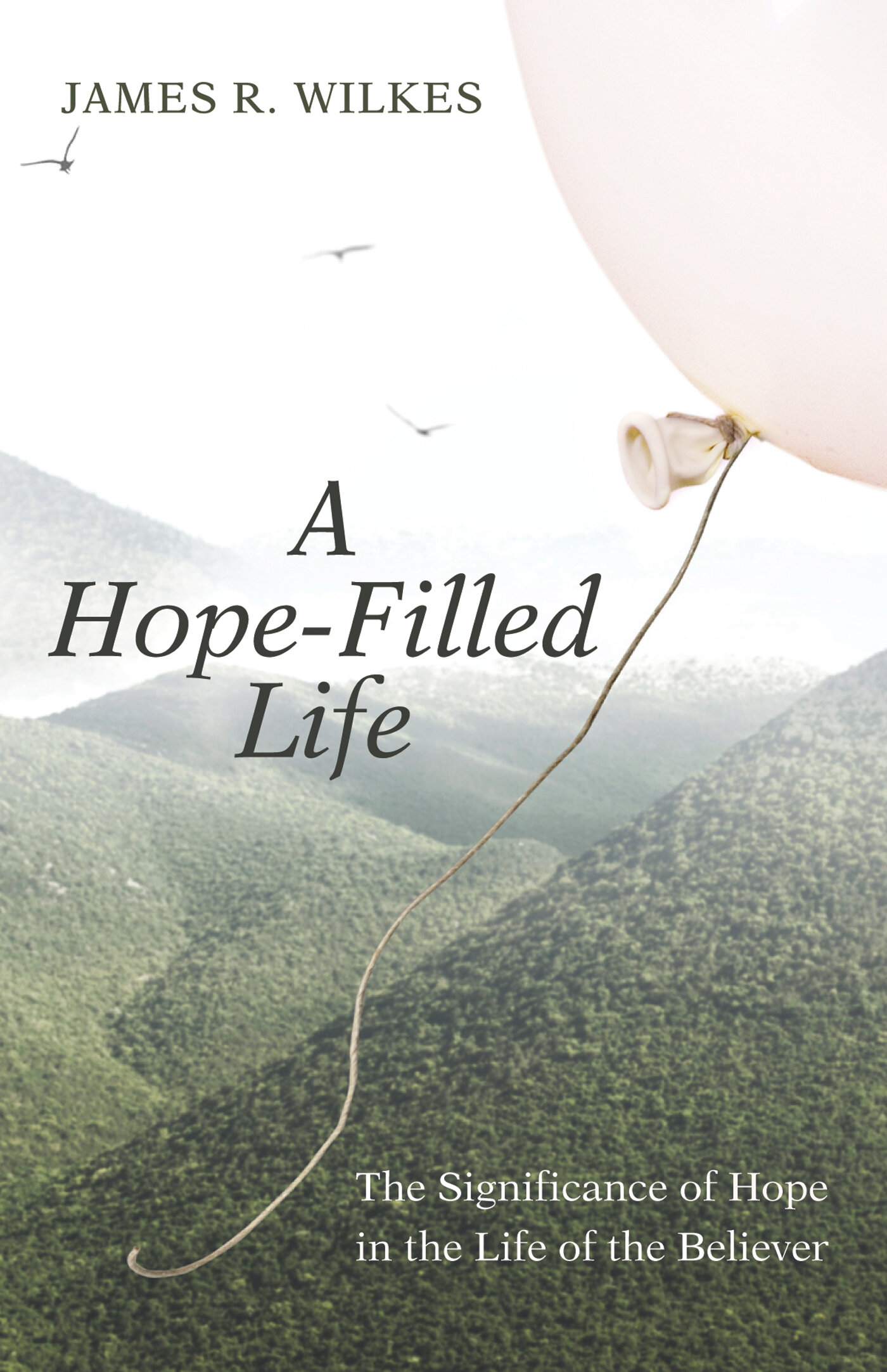 A Hope-Filled Life: The Significance of Hope in the Life of the ...