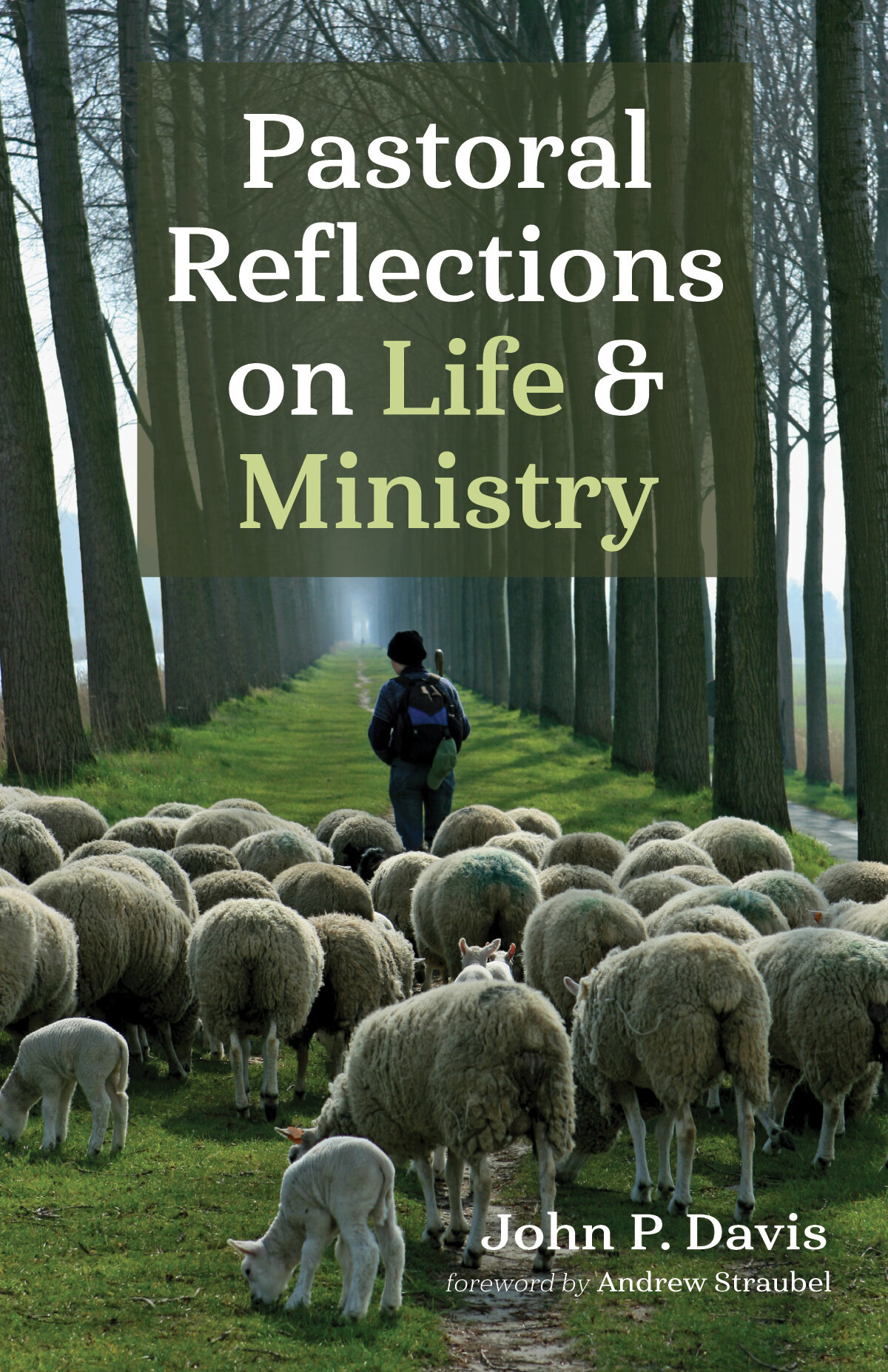 Pastoral Reflections on Life and Ministry | Logos Bible Software