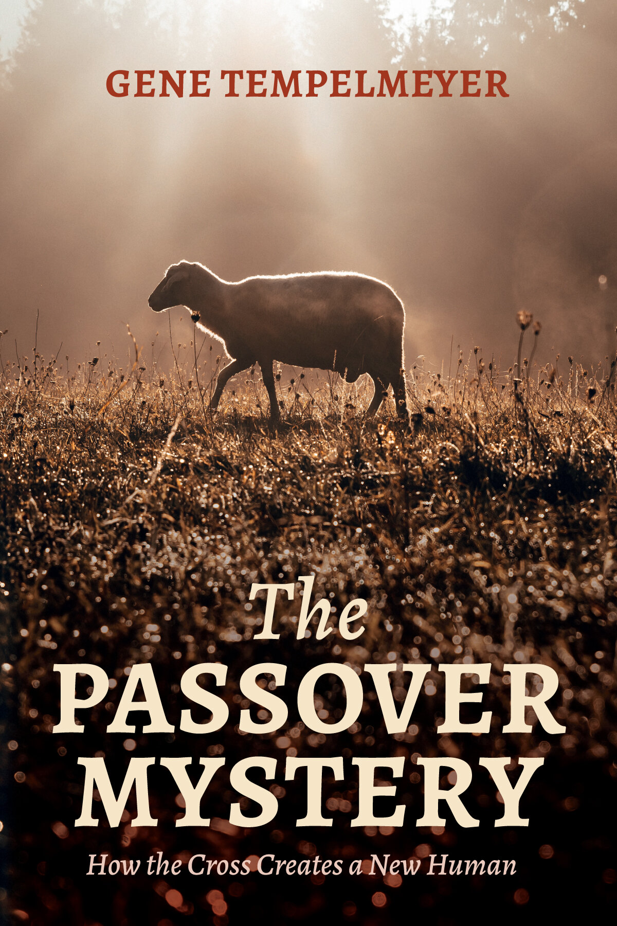The Passover Mystery: How the Cross Creates a New Human | Logos Bible ...