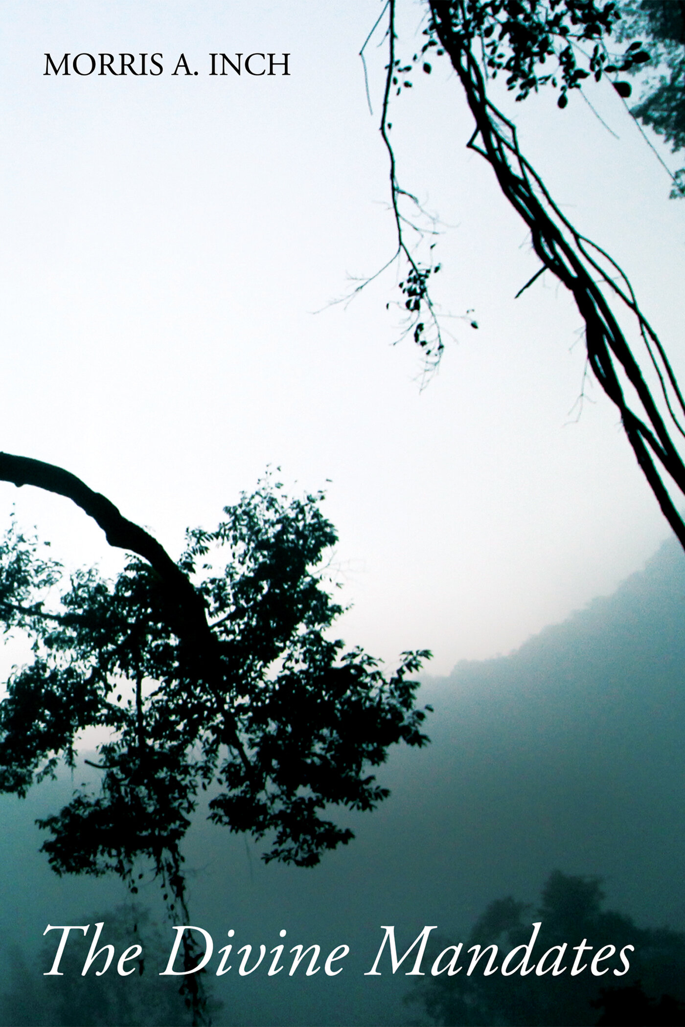 The Divine Mandates | Logos Bible Software