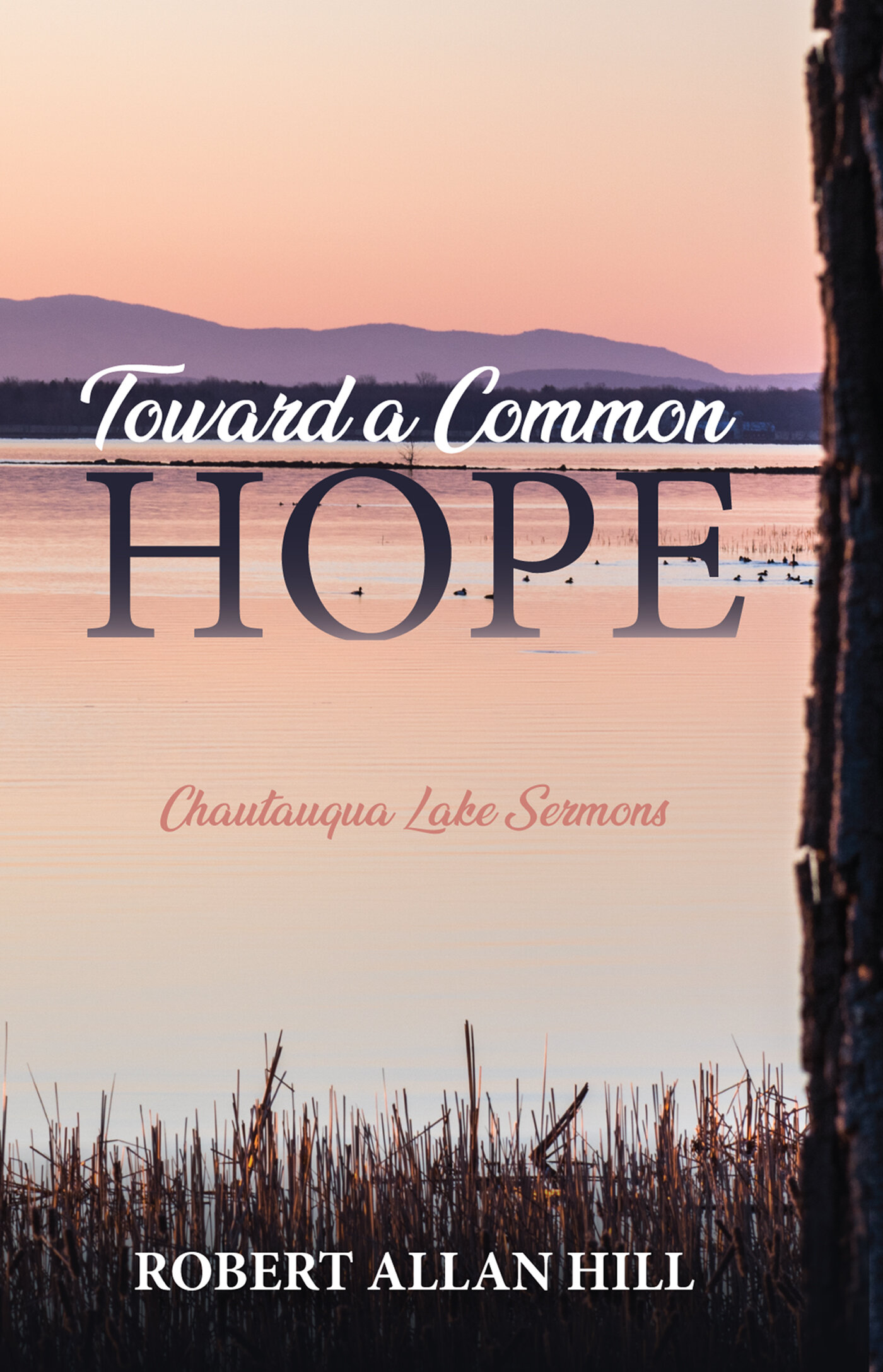 Toward a Common Hope: Chautauqua Lake Sermons | Logos Bible Software