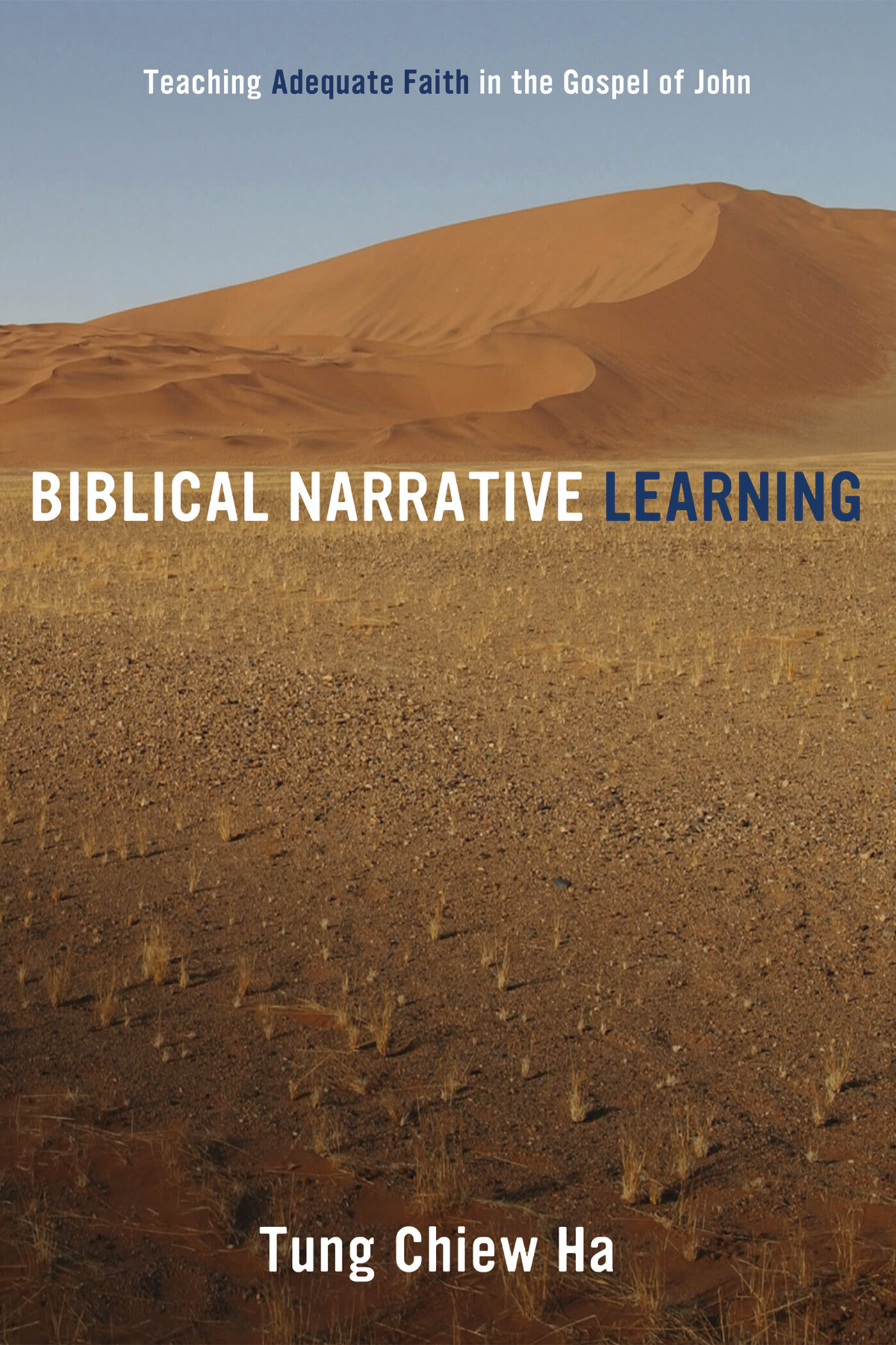 Biblical Narrative Learning: Teaching Adequate Faith in the Gospel of ...
