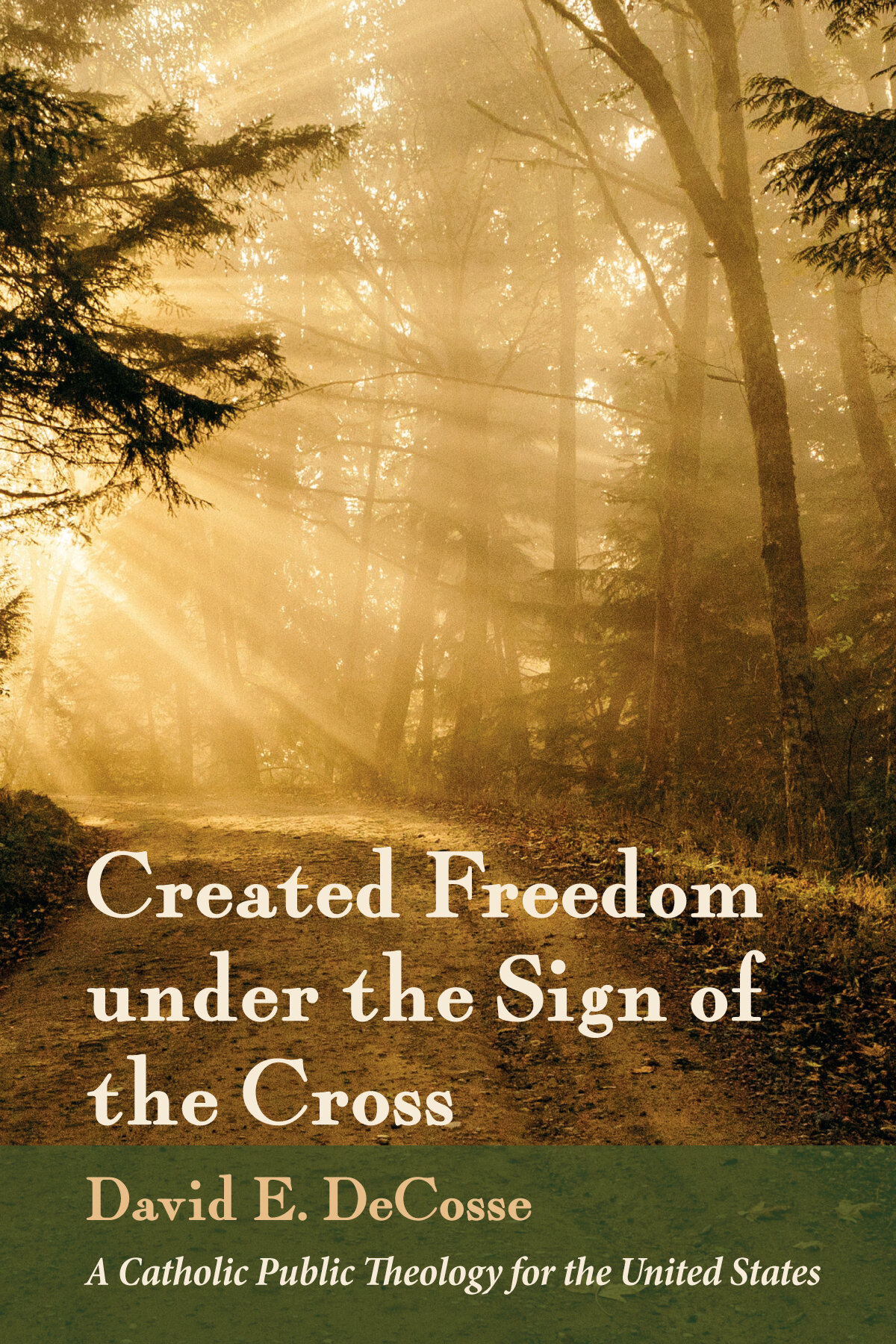 Created Freedom under the Sign of the Cross: A Catholic Public Theology ...