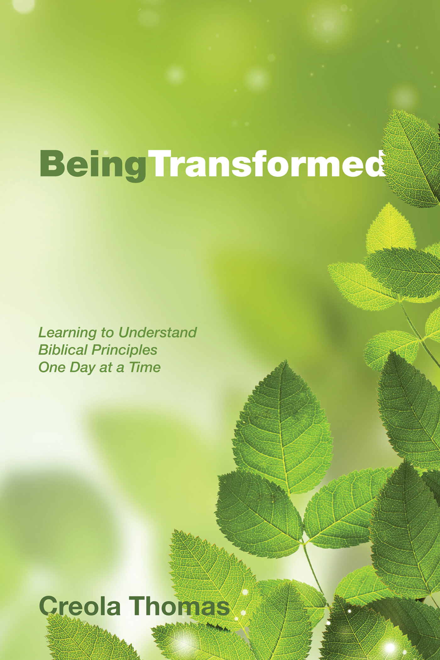 Being Transformed: Learning to Understand Biblical Principles One Day ...