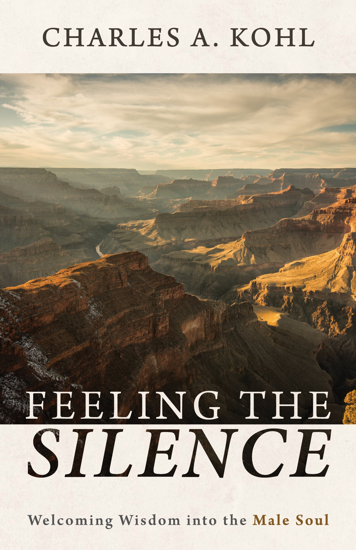 Feeling the Silence: Welcoming Wisdom into the Male Soul | Logos Bible ...