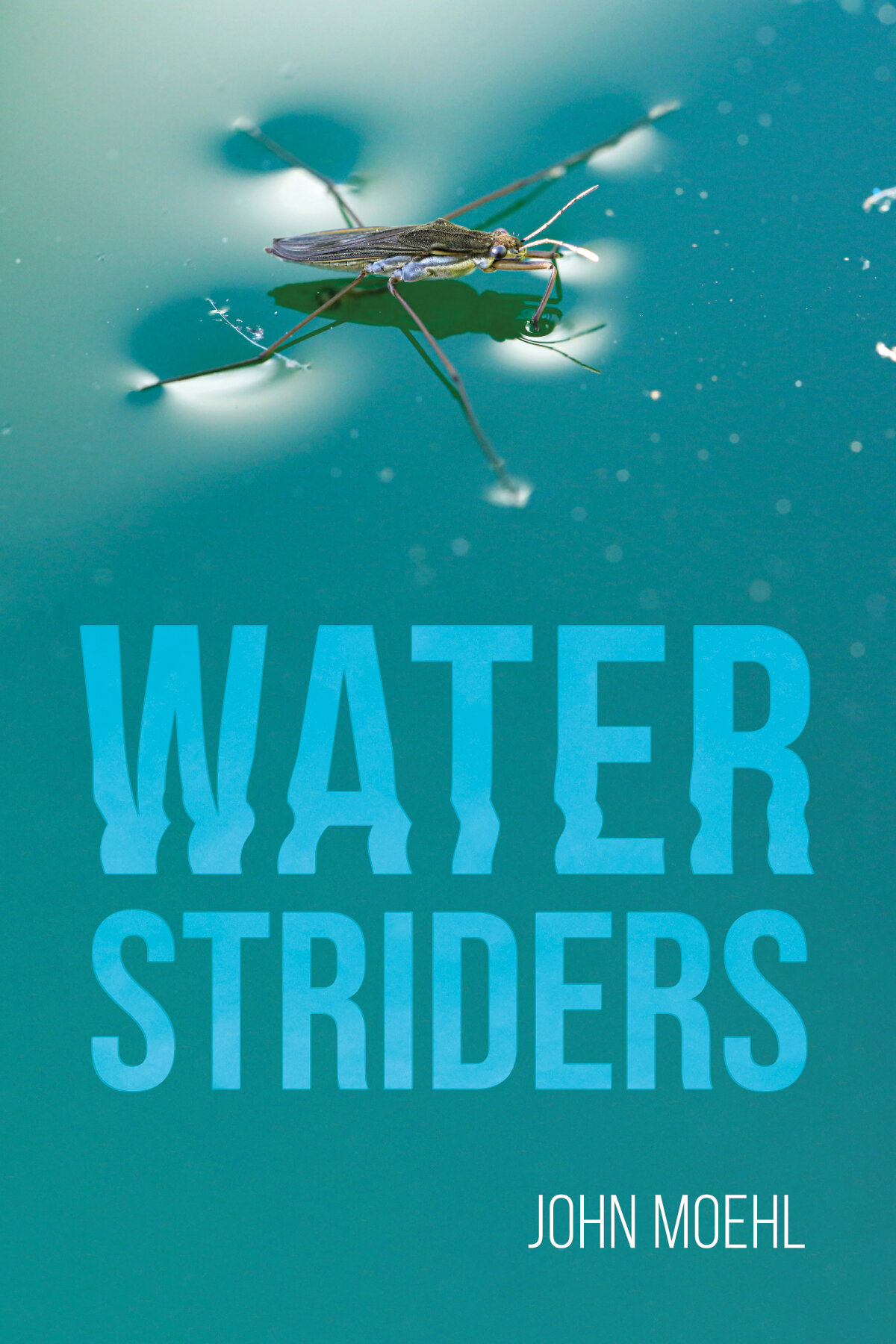 Water Striders | Logos Bible Software