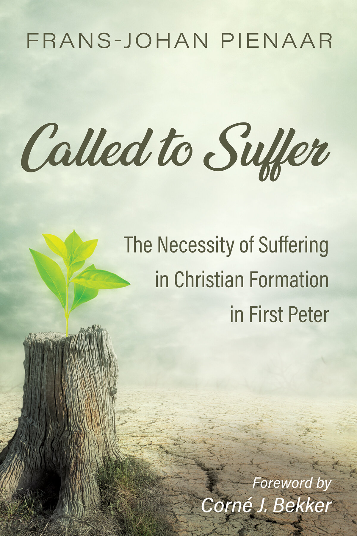 Called to Suffer: The Necessity of Suffering in Christian Formation in ...