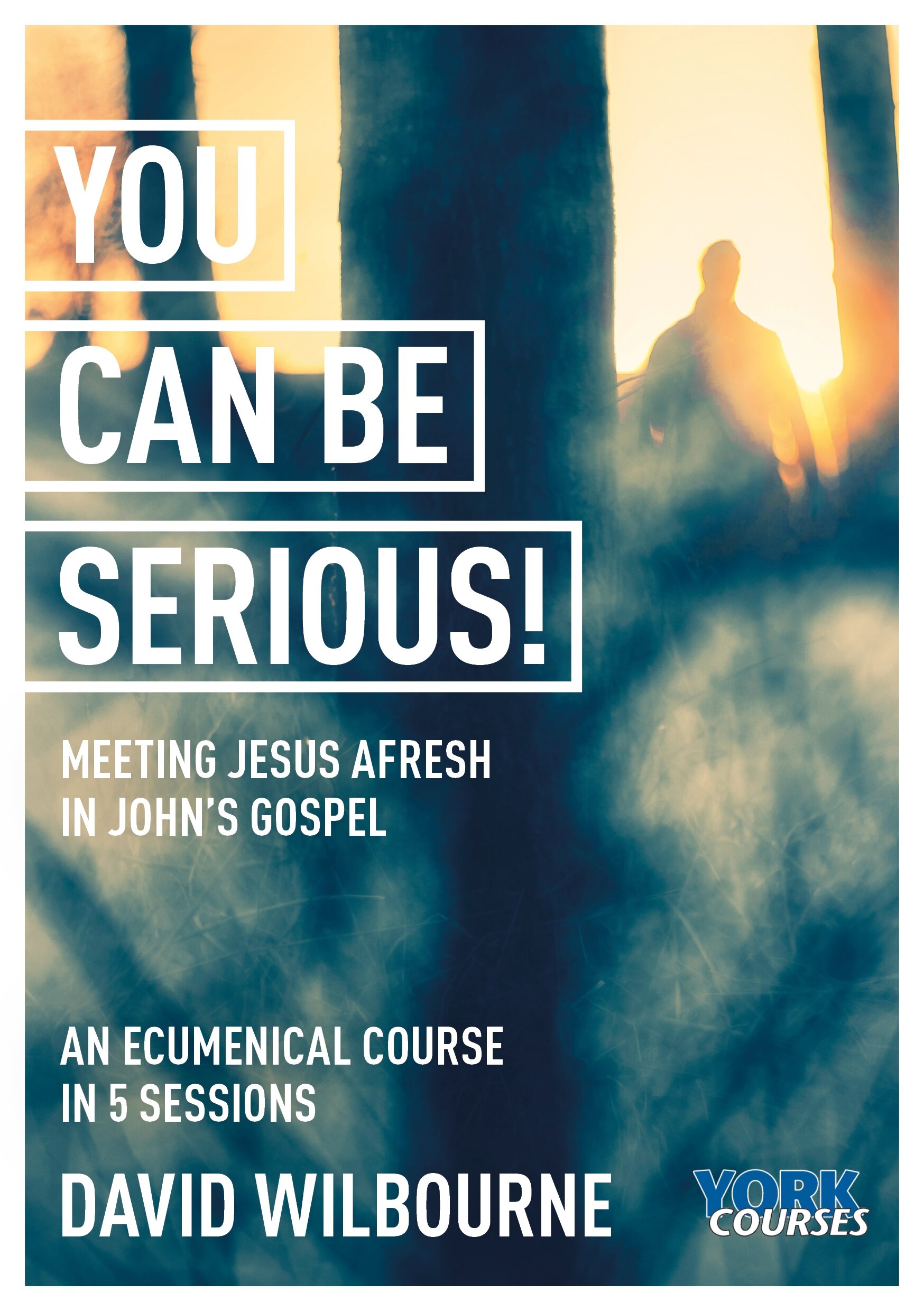 You Can Be Serious! Meeting Jesus afresh in John's Gospel | Logos Bible ...