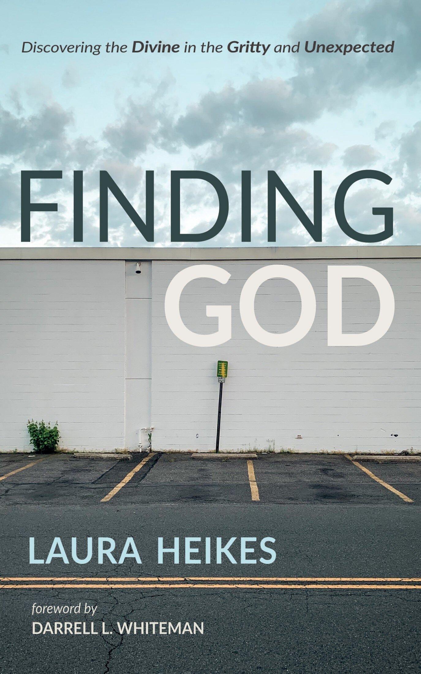 Finding God: Discovering the Divine in the Gritty and Unexpected ...