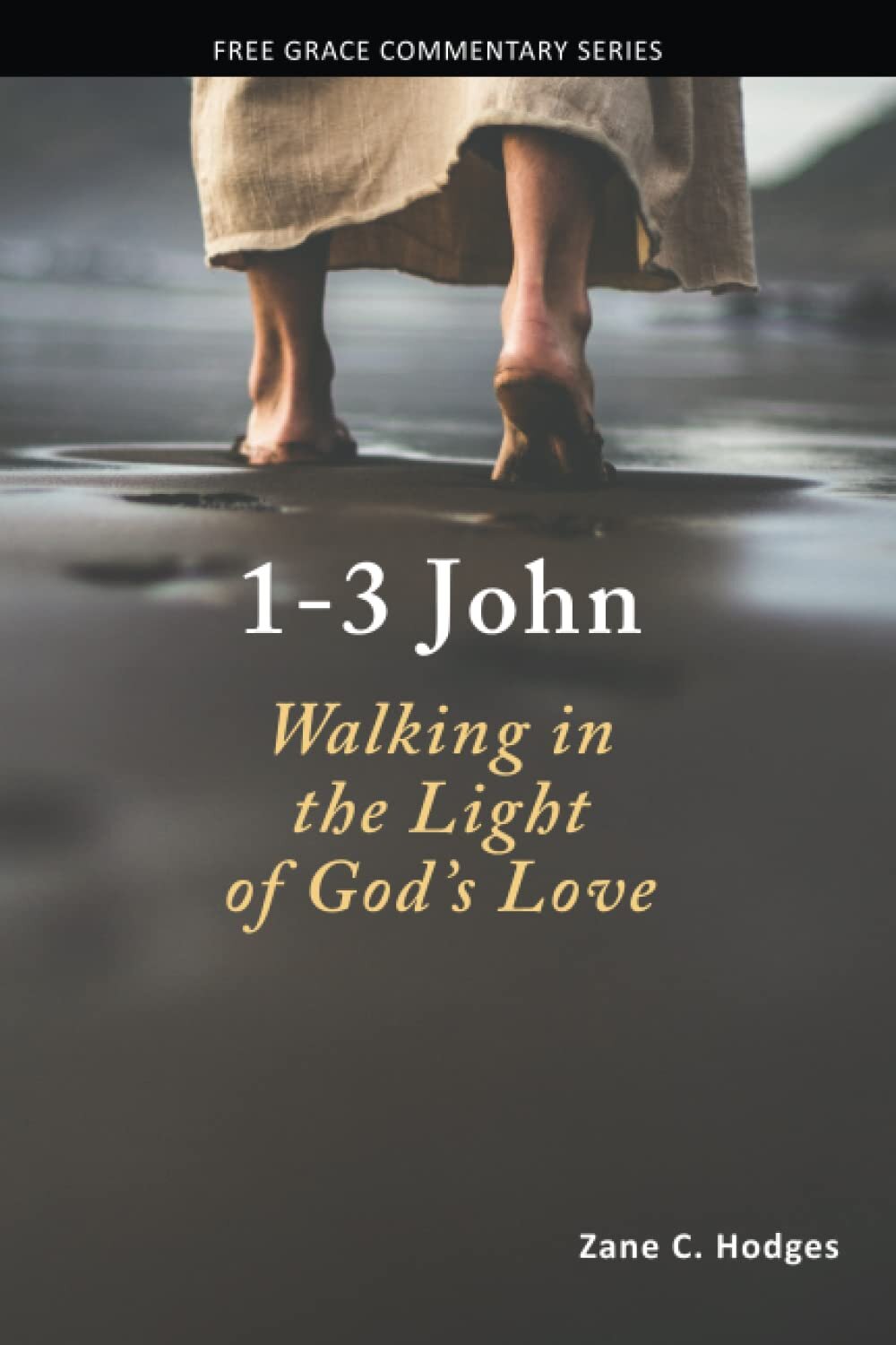 1-3 John: Walking in the Light of God’s Love | Logos Bible Software