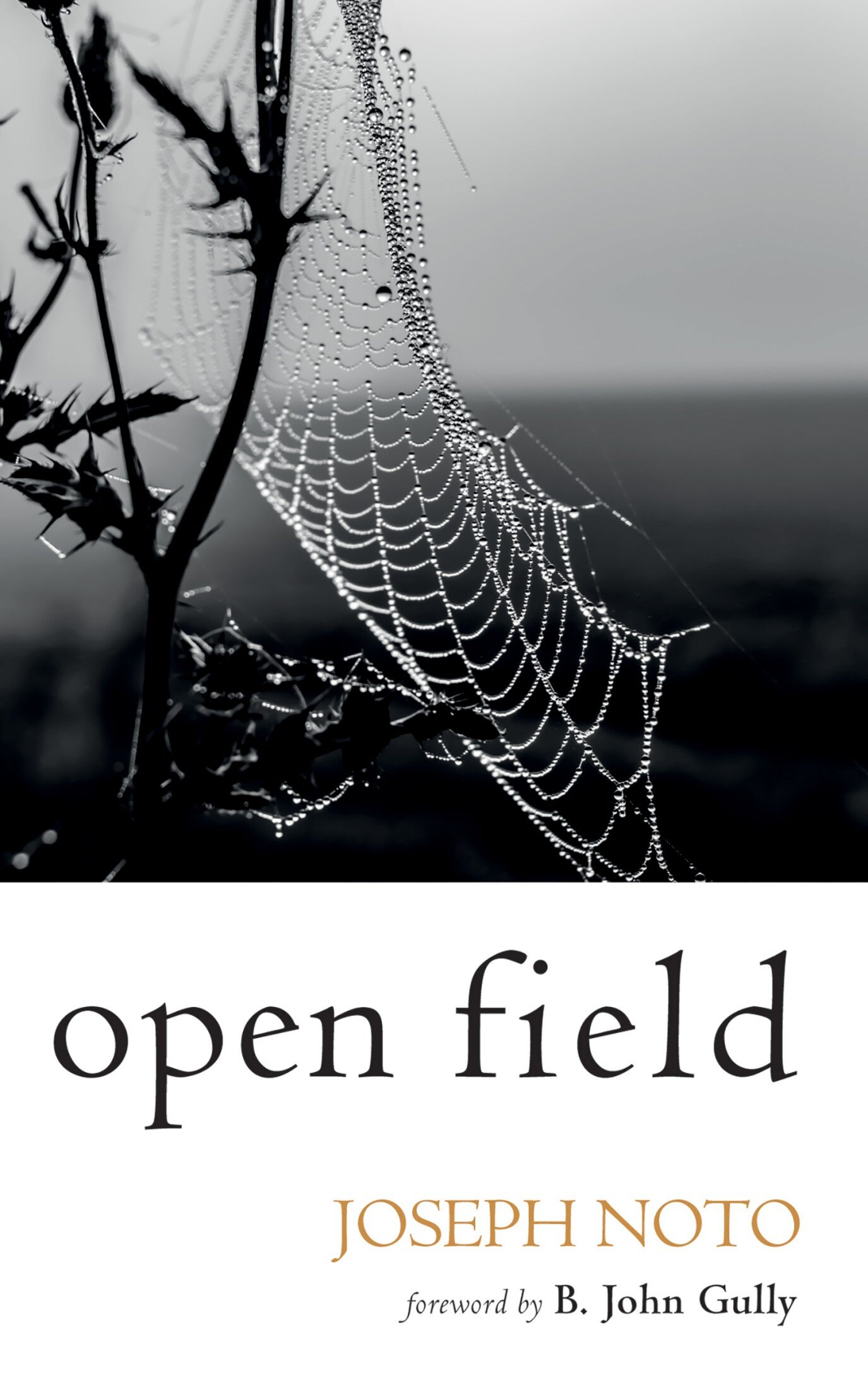 Open Field | Logos Bible Software