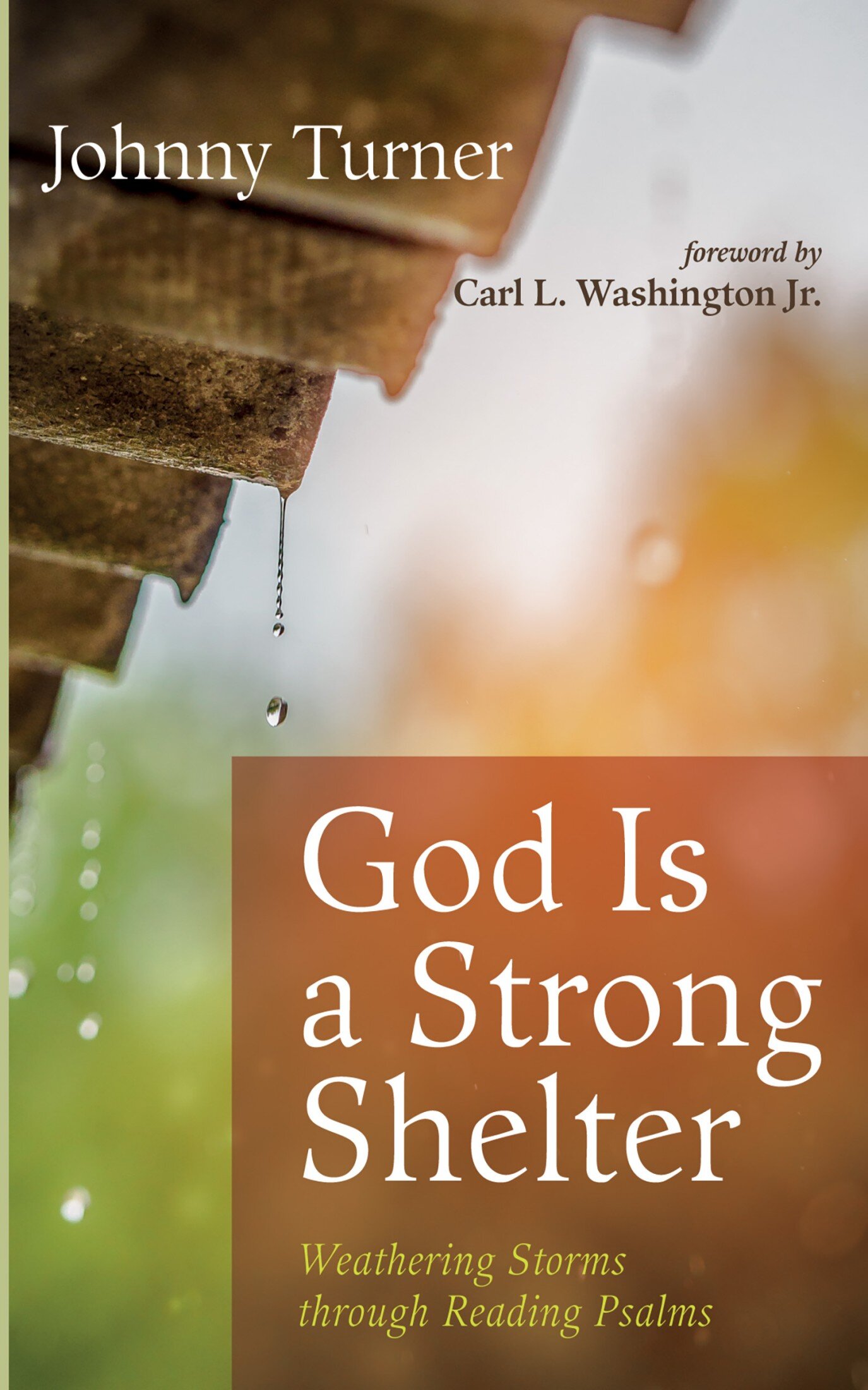 God Is a Strong Shelter: Weathering Storms through Reading Psalms ...