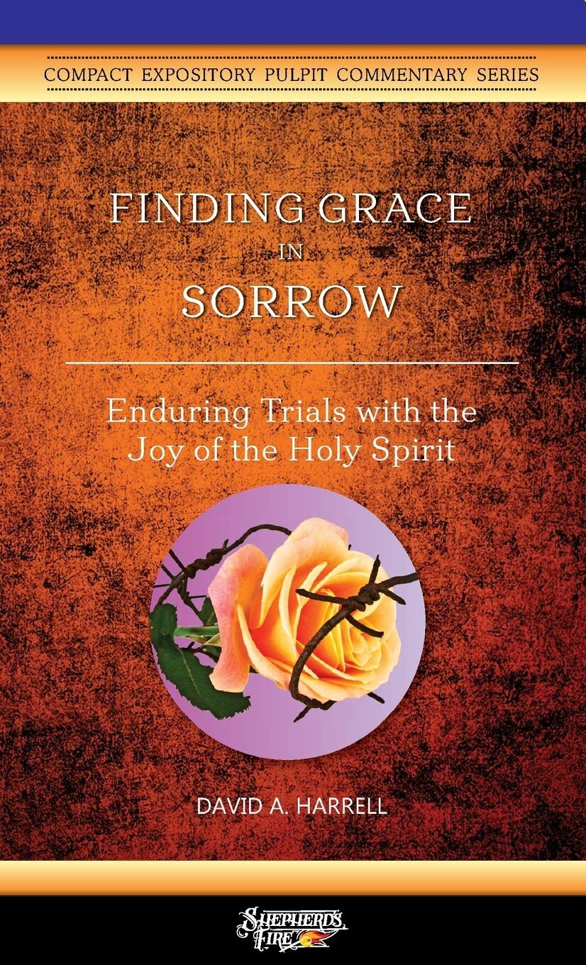 Finding Grace in Sorrow: Enduring Trials with the Joy of the Holy ...