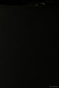 The philosophy of Friedrich Nietzsche | Logos Bible Software